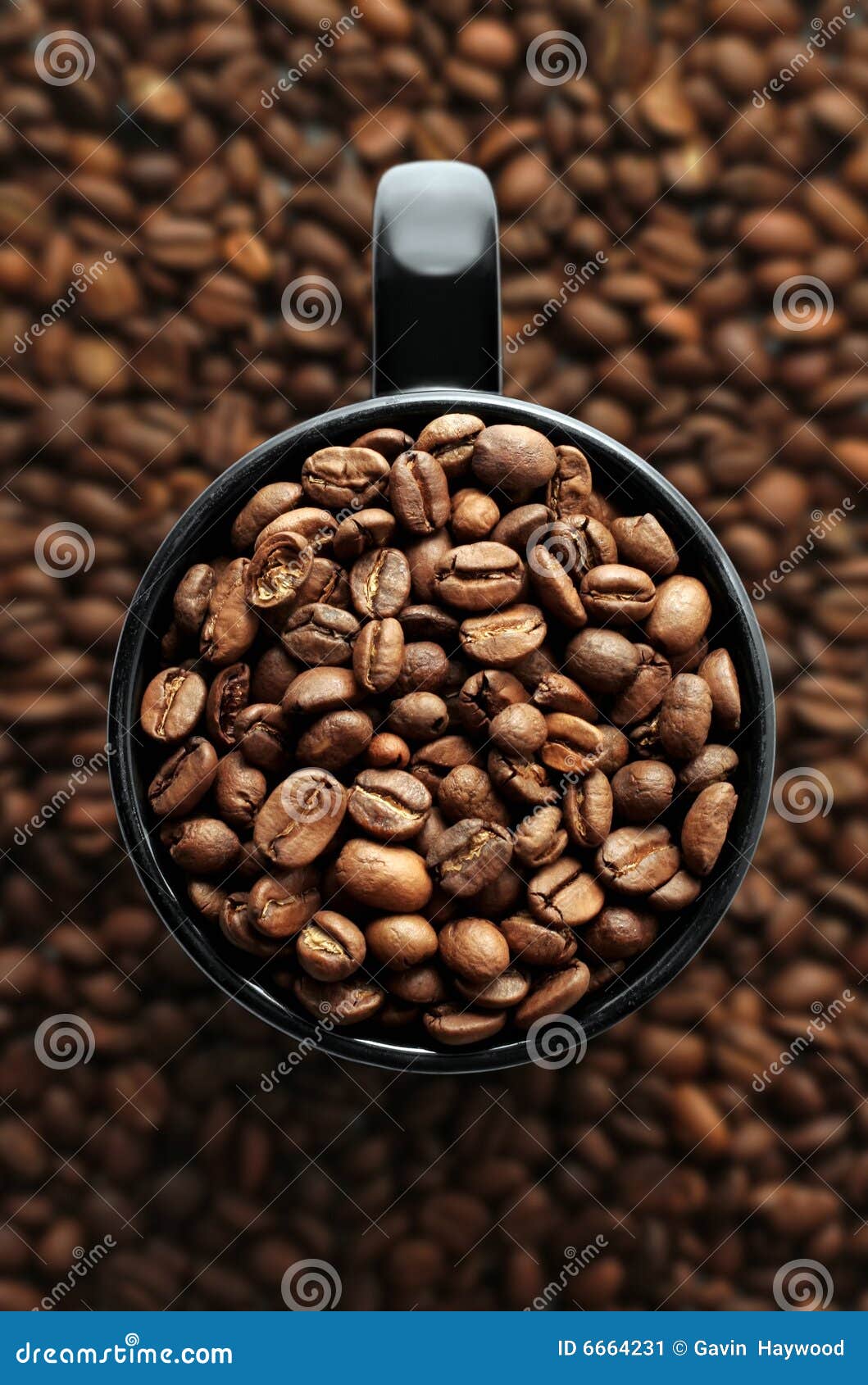 Kaffeetasse Bild. Bild: 6664231