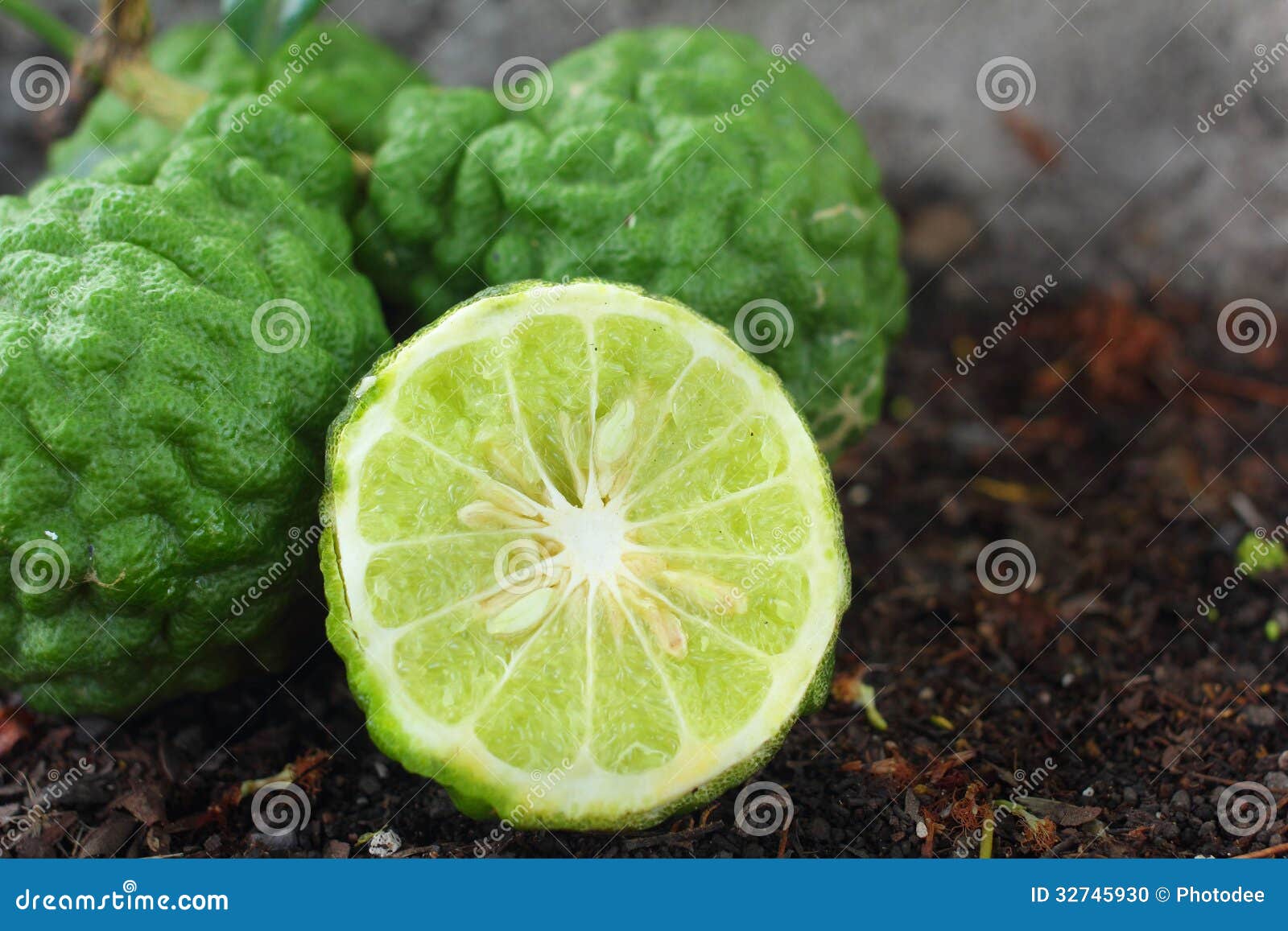 Kaffir photo stock. Image du fruits, espace, asie, sain - 32745930