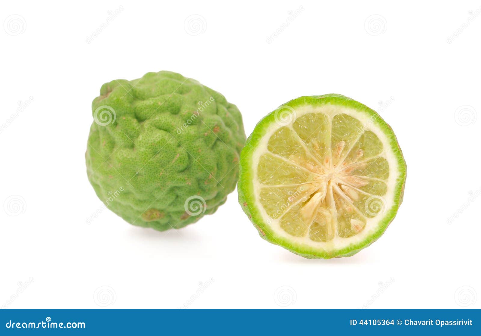 Kaffir stock photo. Image of concept, porcupine, flavoring - 44105364