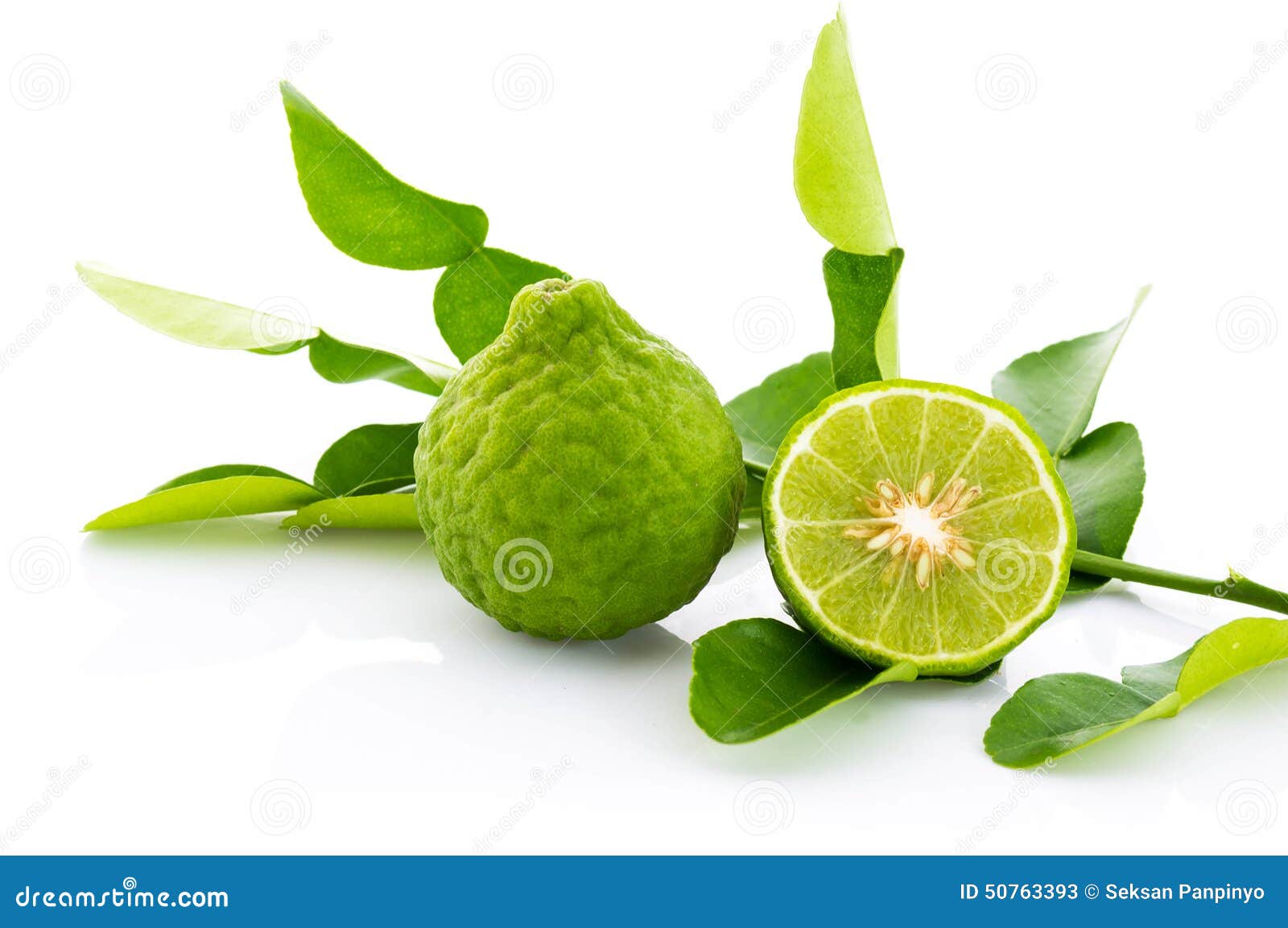 Kaffir Lime Fresh Isolated. Stock Image - Image of thai, lime: 50763393