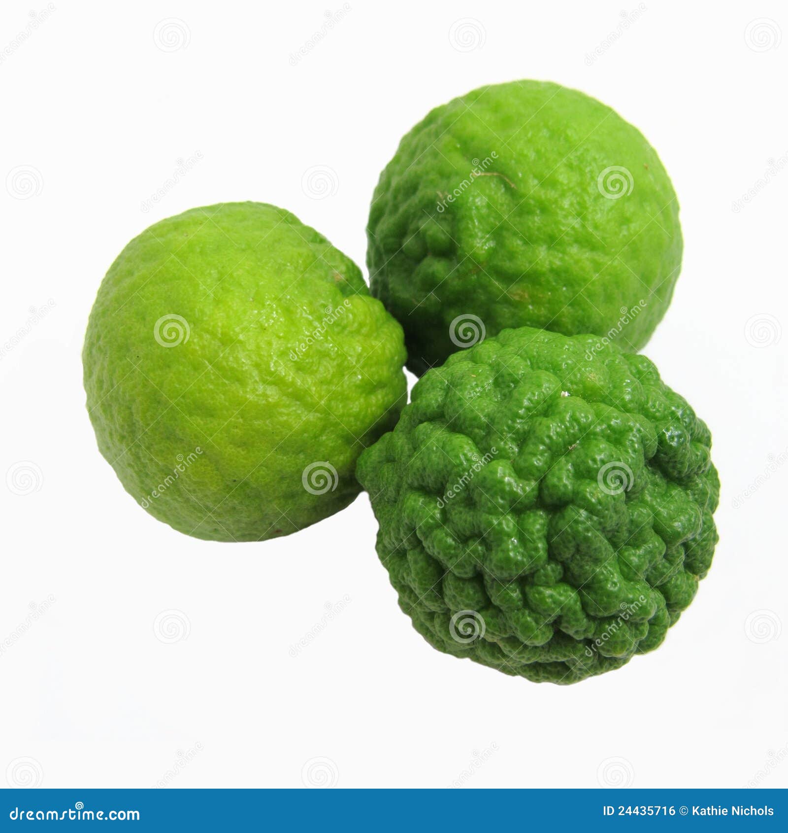 Kaffir Lime Isolated 1 stock photo. Image of lime, ingredient - 24435716