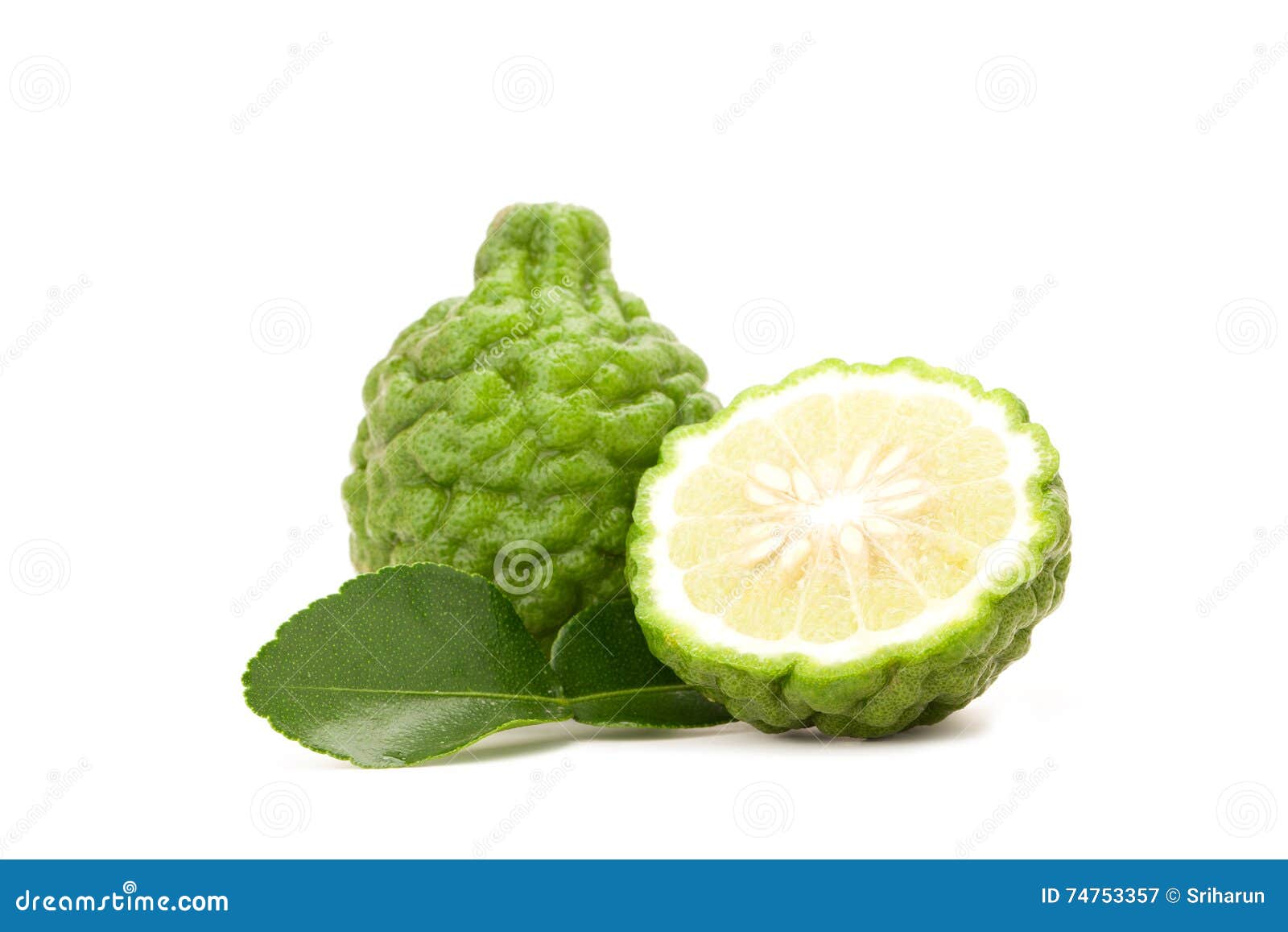 Kaffir lime stock image. Image of herbal, citric, botanic - 74753357