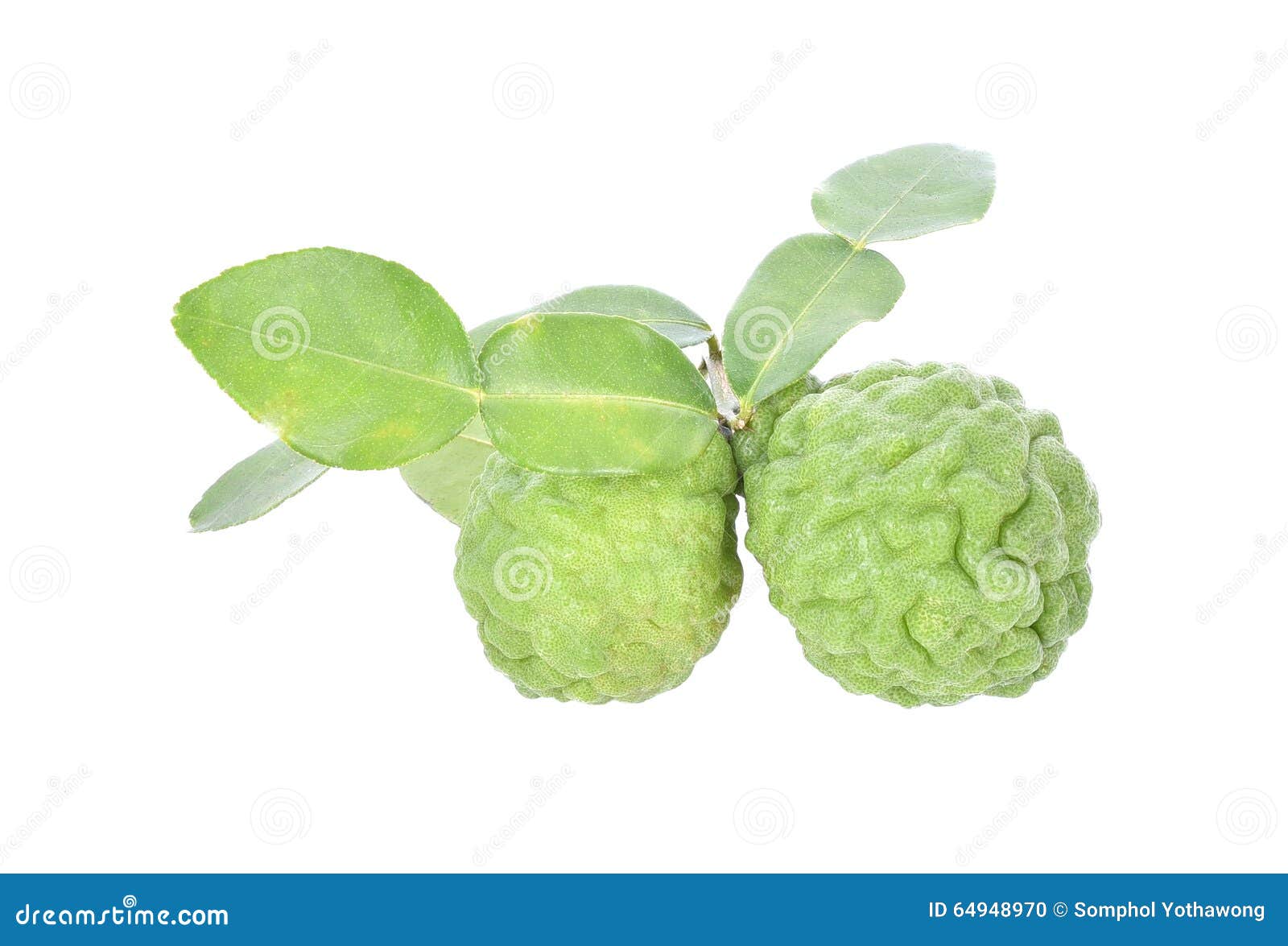 Kaffir Lime with Leaf Isolate on White Background Stock Photo - Image ...