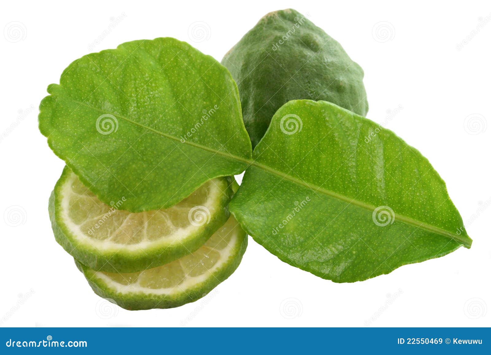 Kaffir Lime, Leech Lime Citrus Hystrix DC Scientific Name Rough Skin ...