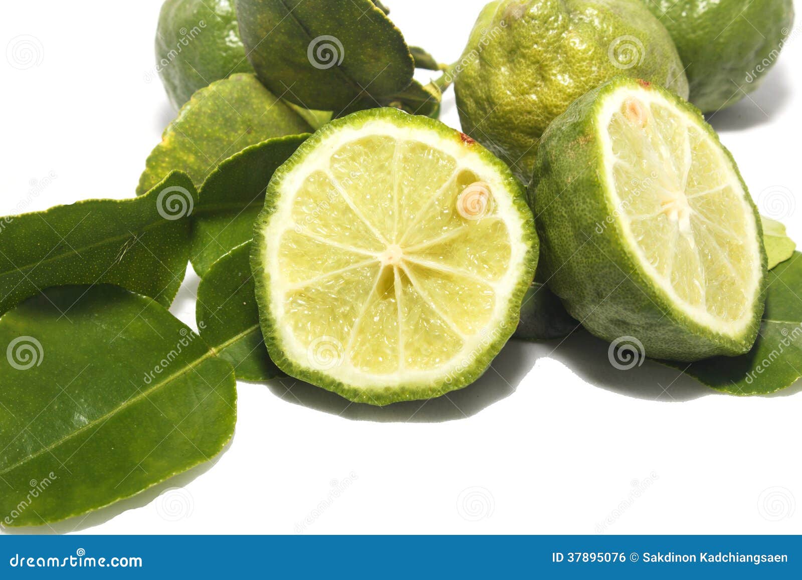 Kaffir Lime with Leaves Isolate Stock Photo - Image of exotic, fruit ...