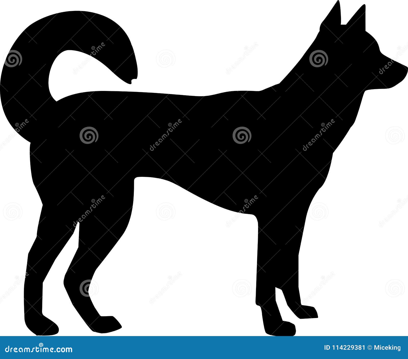 Kai Ken Silhouette Cartoon Vector | CartoonDealer.com #114229381