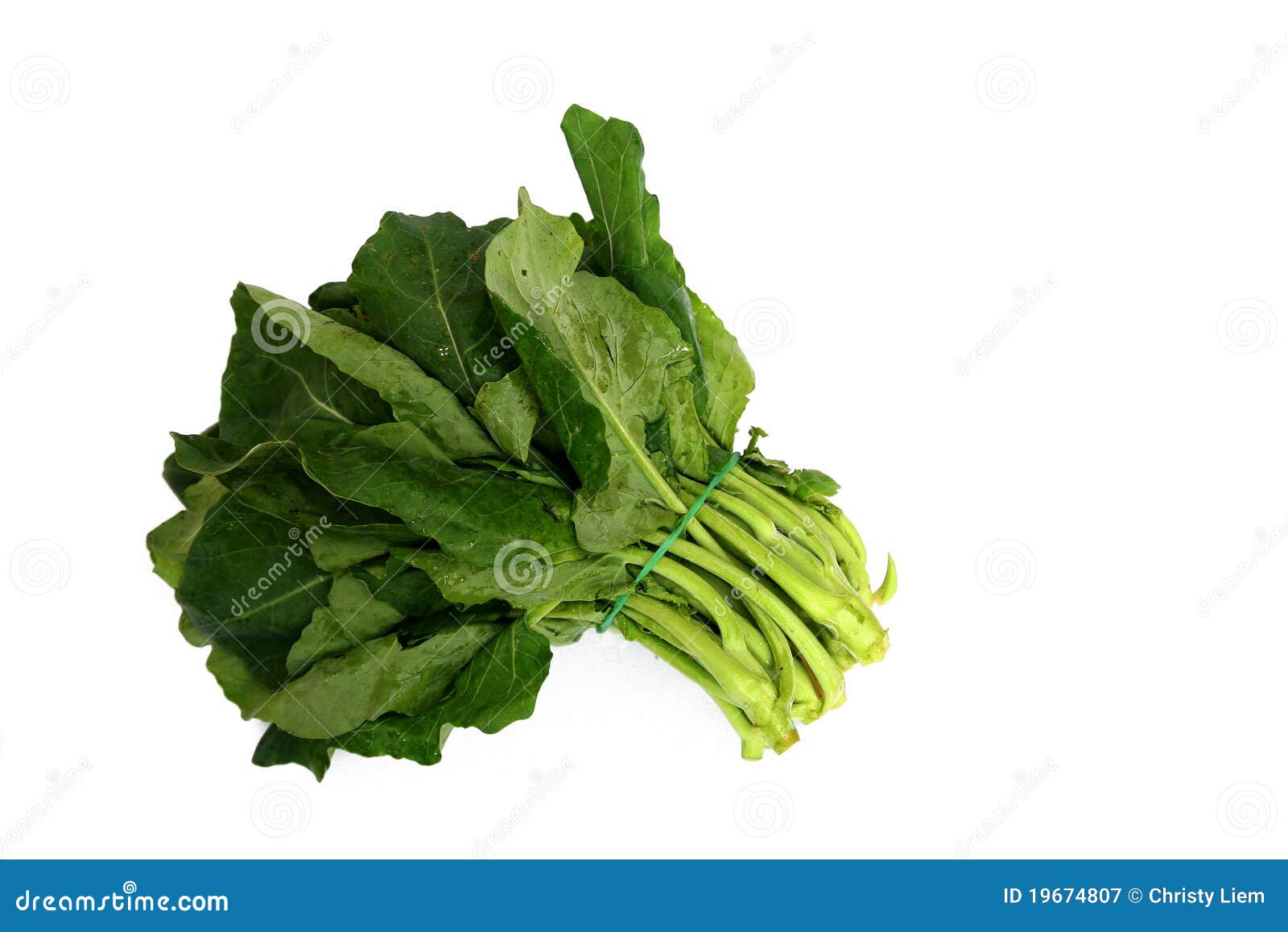 Kailan stock image. Image of flavor, diet, culinary, long - 19674807