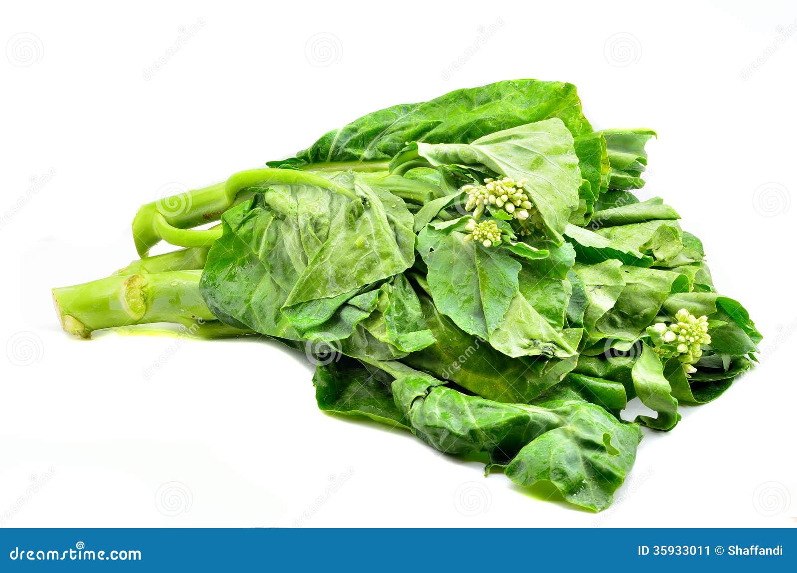Kailan vegetable stock image. Image of botanic, culinary - 35933011