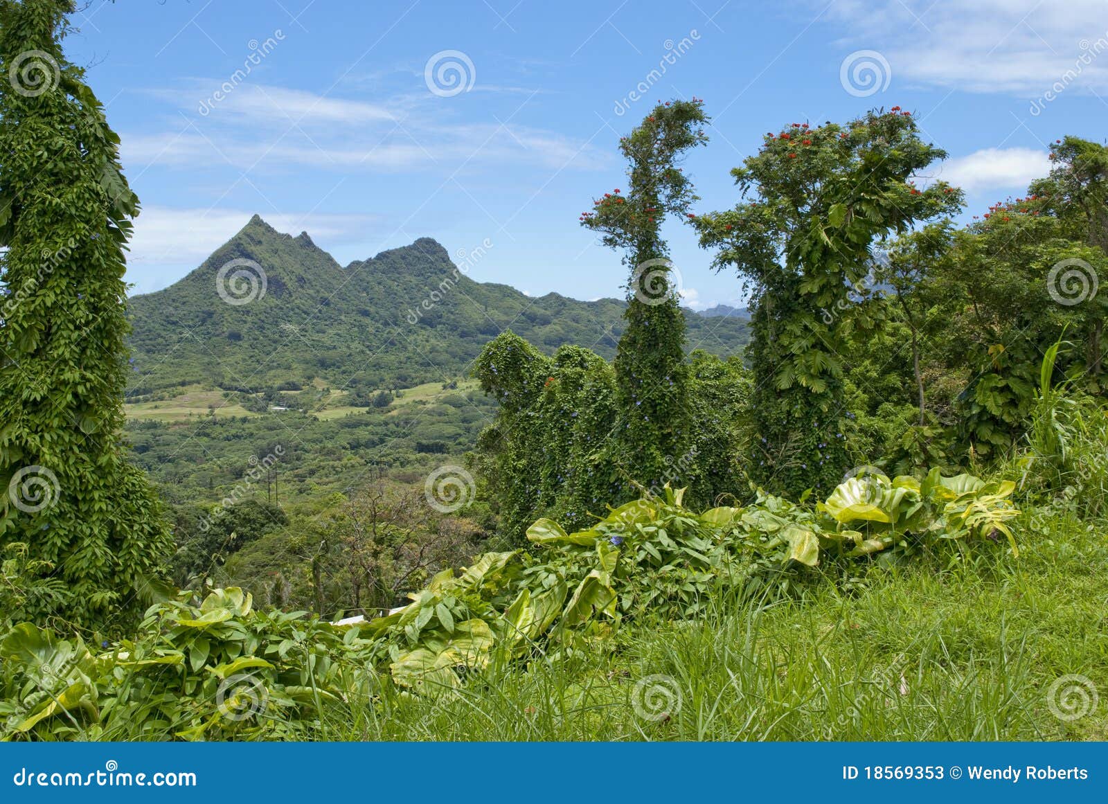 Kailua, Oahu, Hawaii Scenic Valley Stock Image - Image of mountain ...
