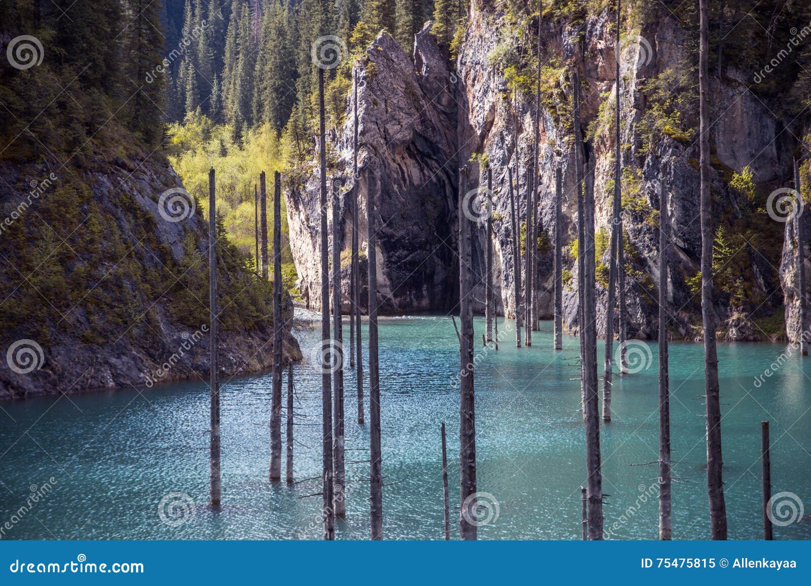 Kaindy Mountain Lake in Kazakhstan Stock Image - Image of district ...