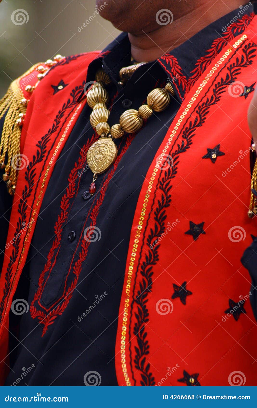 Kaintha stock photo. Image of gaana, bhangra, gold, indian - 4266668