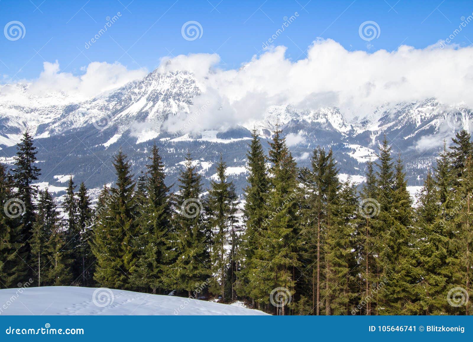 Kaiser Mountains and Pine Forest, Austria Stock Image - Image of kaiser ...