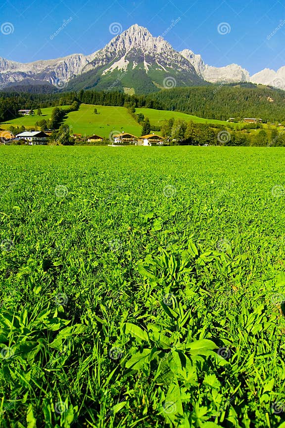 Kaisergebirge in Austria stock photo. Image of grand, mount - 1831330
