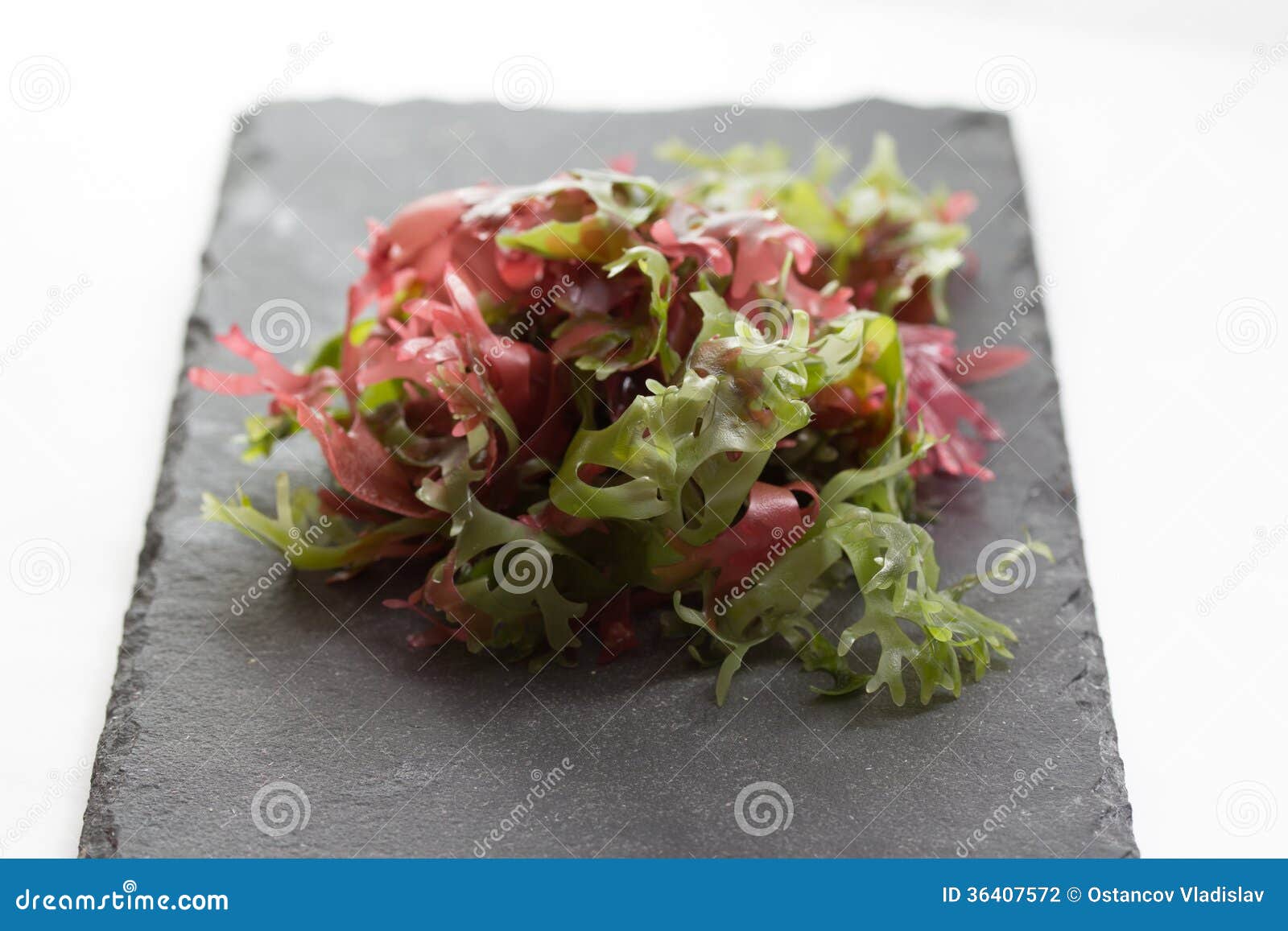 Kaiso foto de archivo. Imagen de nadie, queso, crema - 36407572