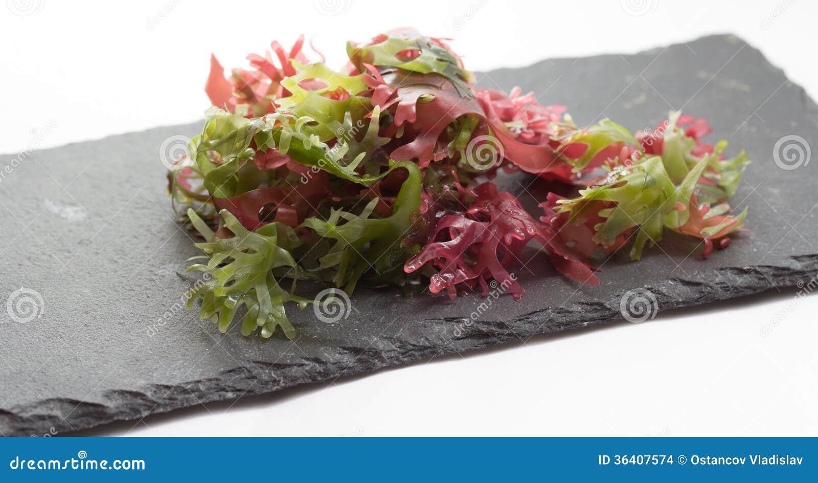 Kaiso 库存照片. 图片 包括有 调味汁, 珊瑚, 午餐, 蘑菇, 奶油, 膳食, 鳗鱼, 干酪, 叶子 - 36407574