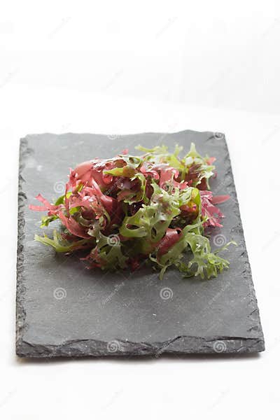 Kaiso stock photo. Image of fresh, leaf, meal, gourmet - 36407570