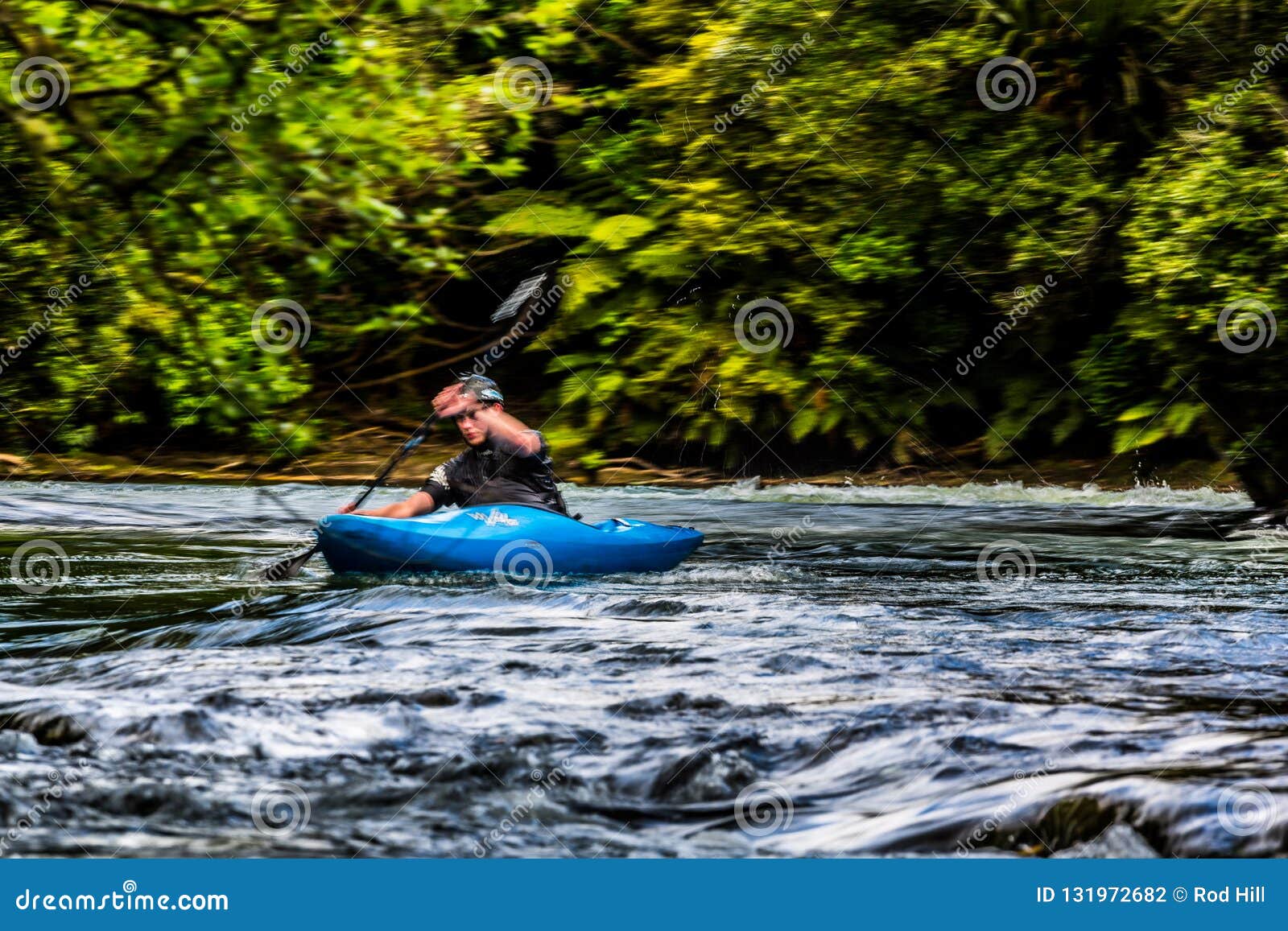 Kaituna River, Rotorua, Bay of Plenty, New Zealand 10 November 2018 ...