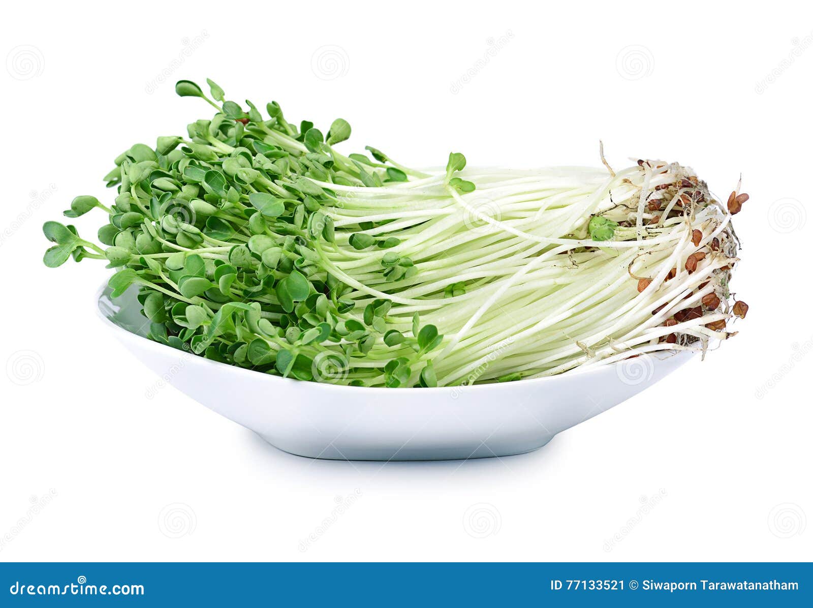 Kaiware Sprout, Japanese Vegetable Or Watercress On White Backgr ...