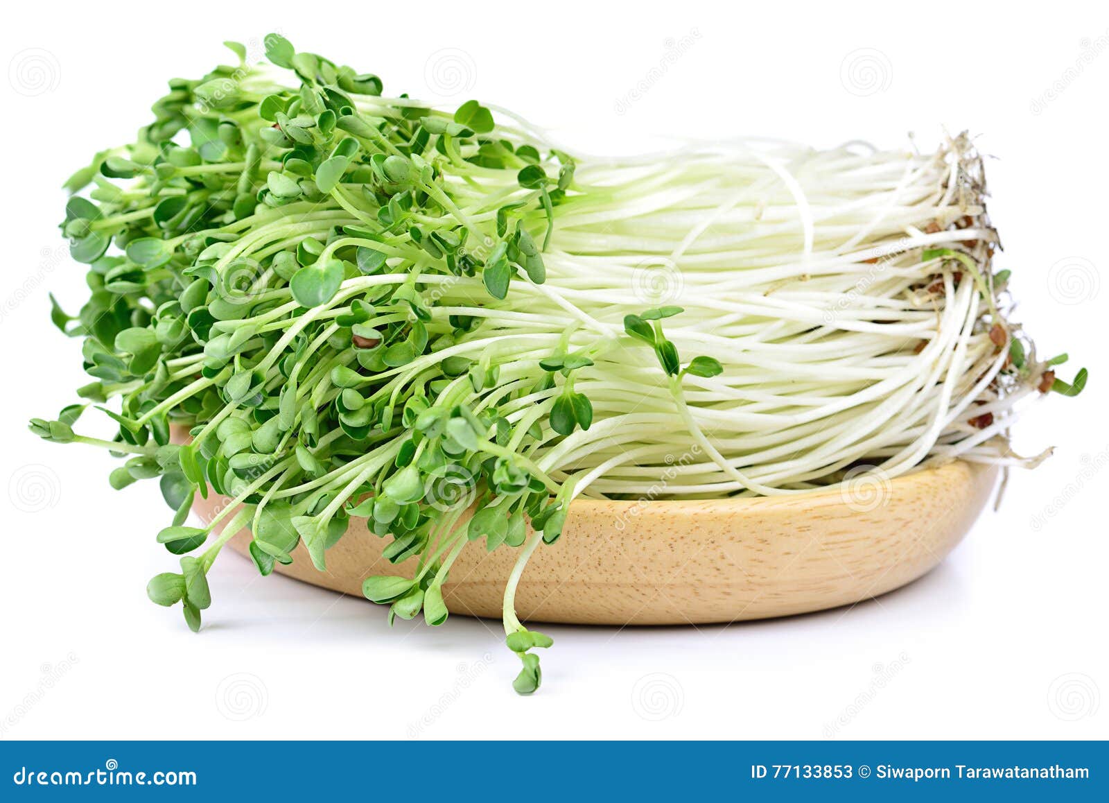 Kaiware Sprout, Japanese Vegetable Or Watercress On White Background ...