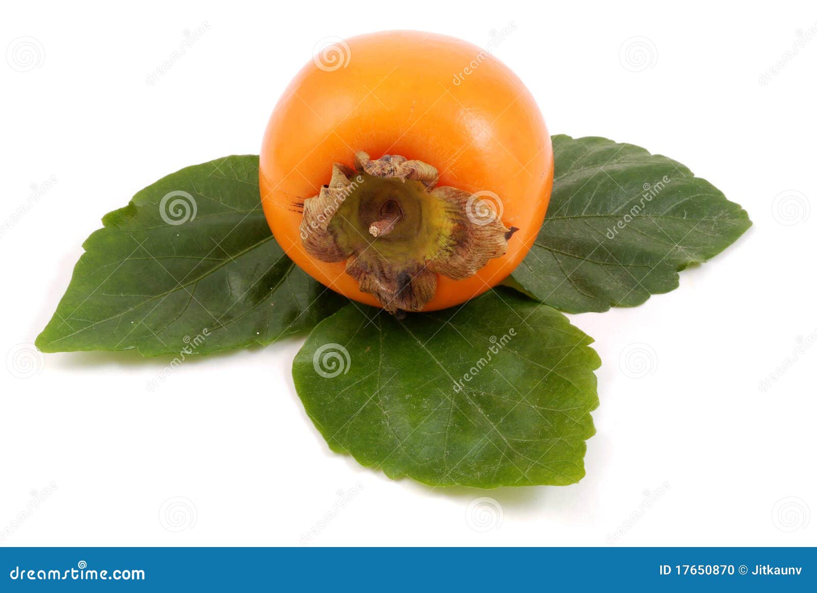 Kaki fruit stock foto. Image of geïsoleerd, ontruim, blad - 17650870