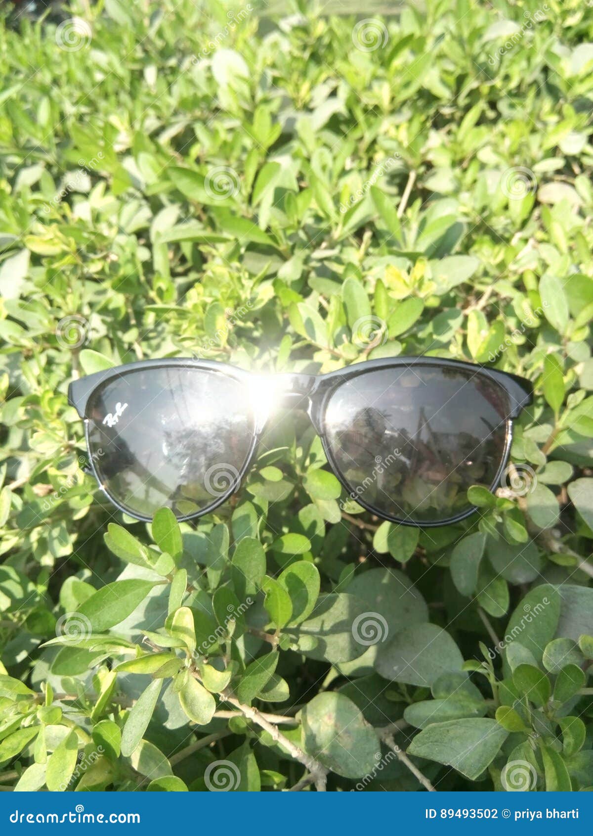 Kala chasma stock photo. Image of looks, chasma, kala - 89493502