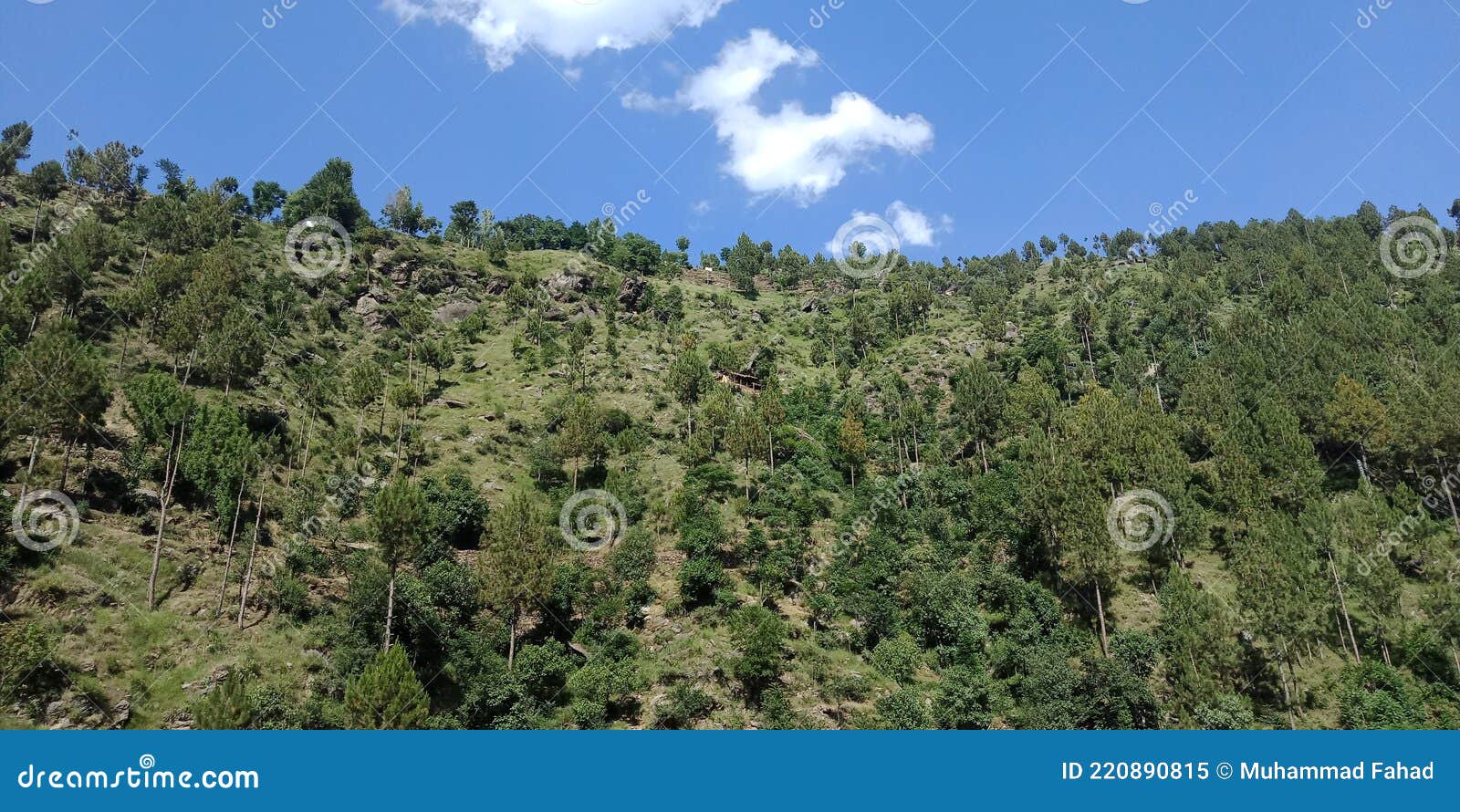 Kalaam stock image. Image of woodland, tree, hill, view - 220890815