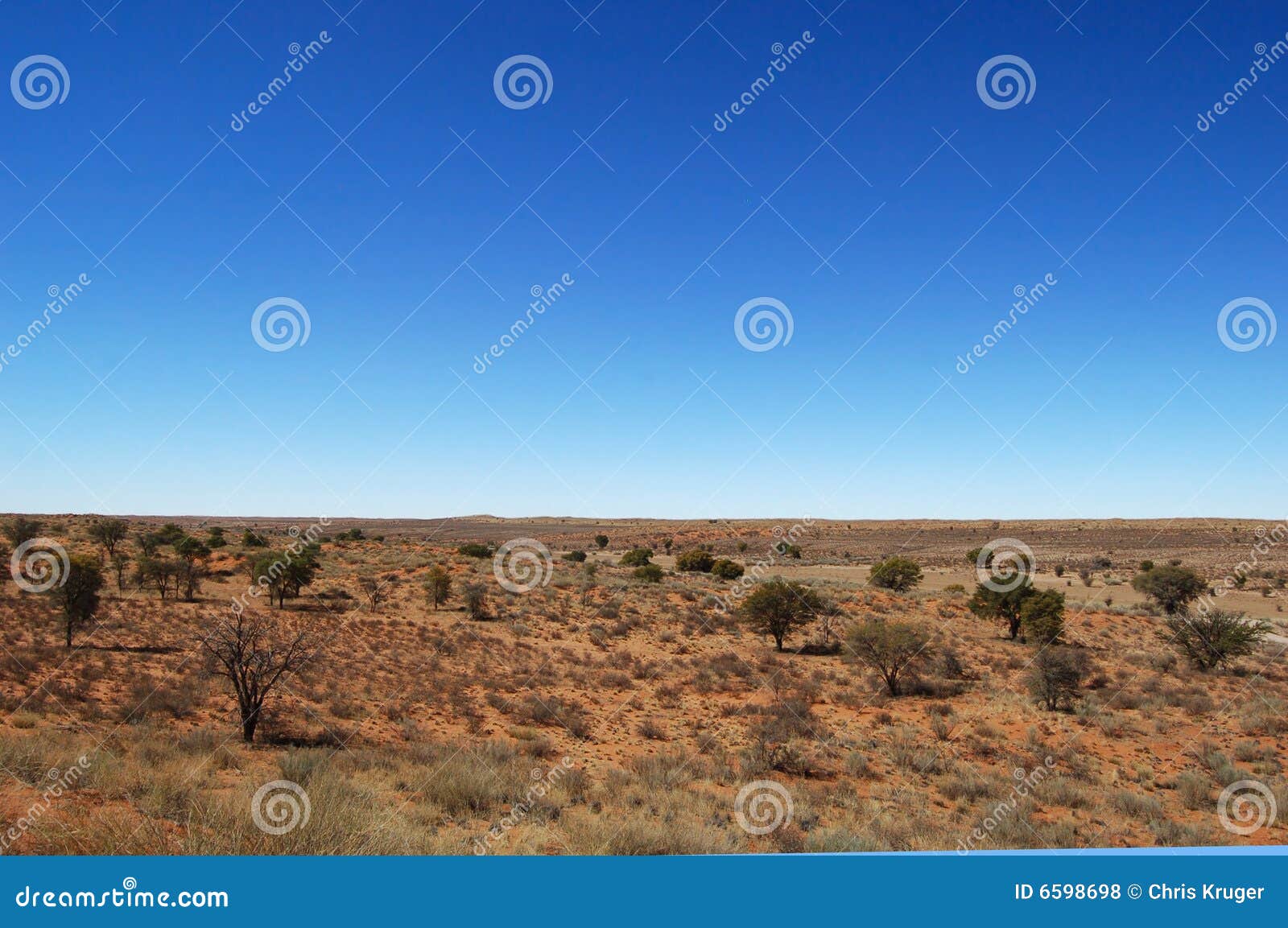 Kalahari Desert Landscape stock photo. Image of outdoors - 6598698