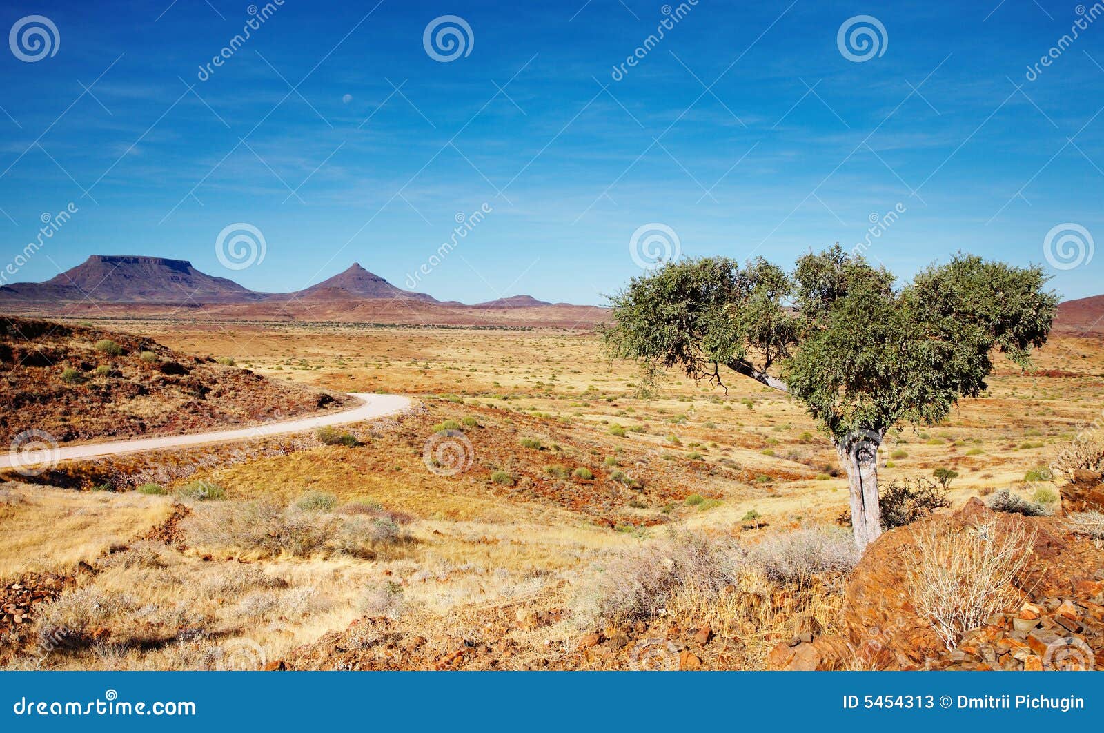 Kalahari Desert, Namibia stock image. Image of desolate - 5454313