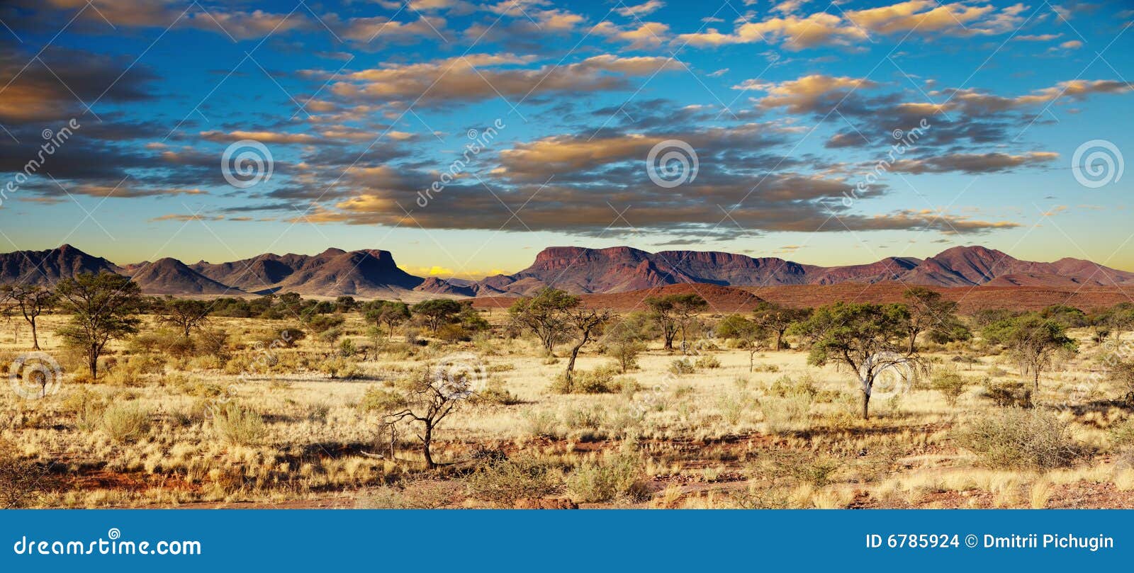 Kalahari Desert Pictures