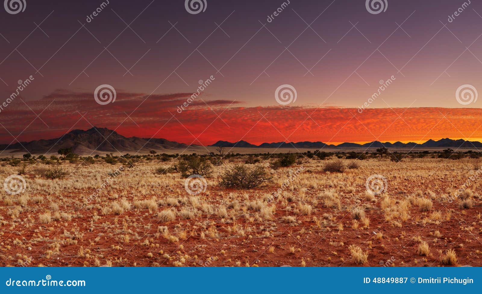 Kalahari Desert, Namibia stock image. Image of namib - 48849887