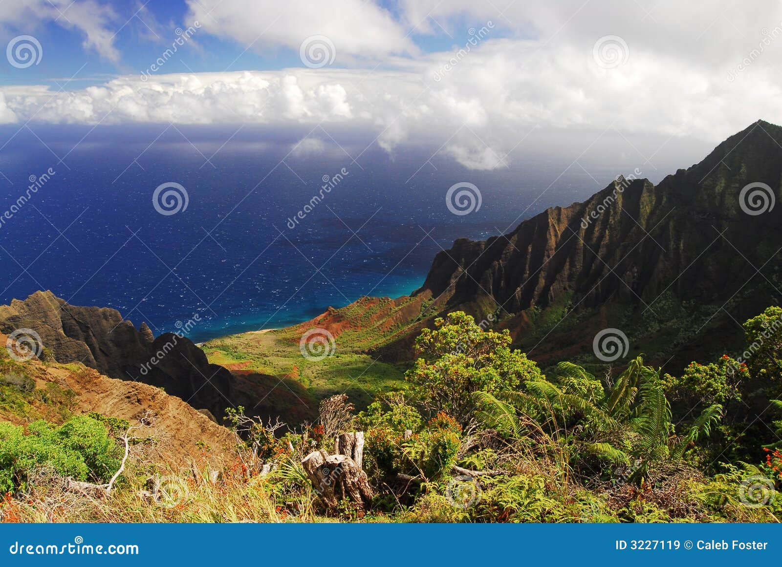 Kalalau lookout in Hawaii stock image. Image of ocean - 3227119
