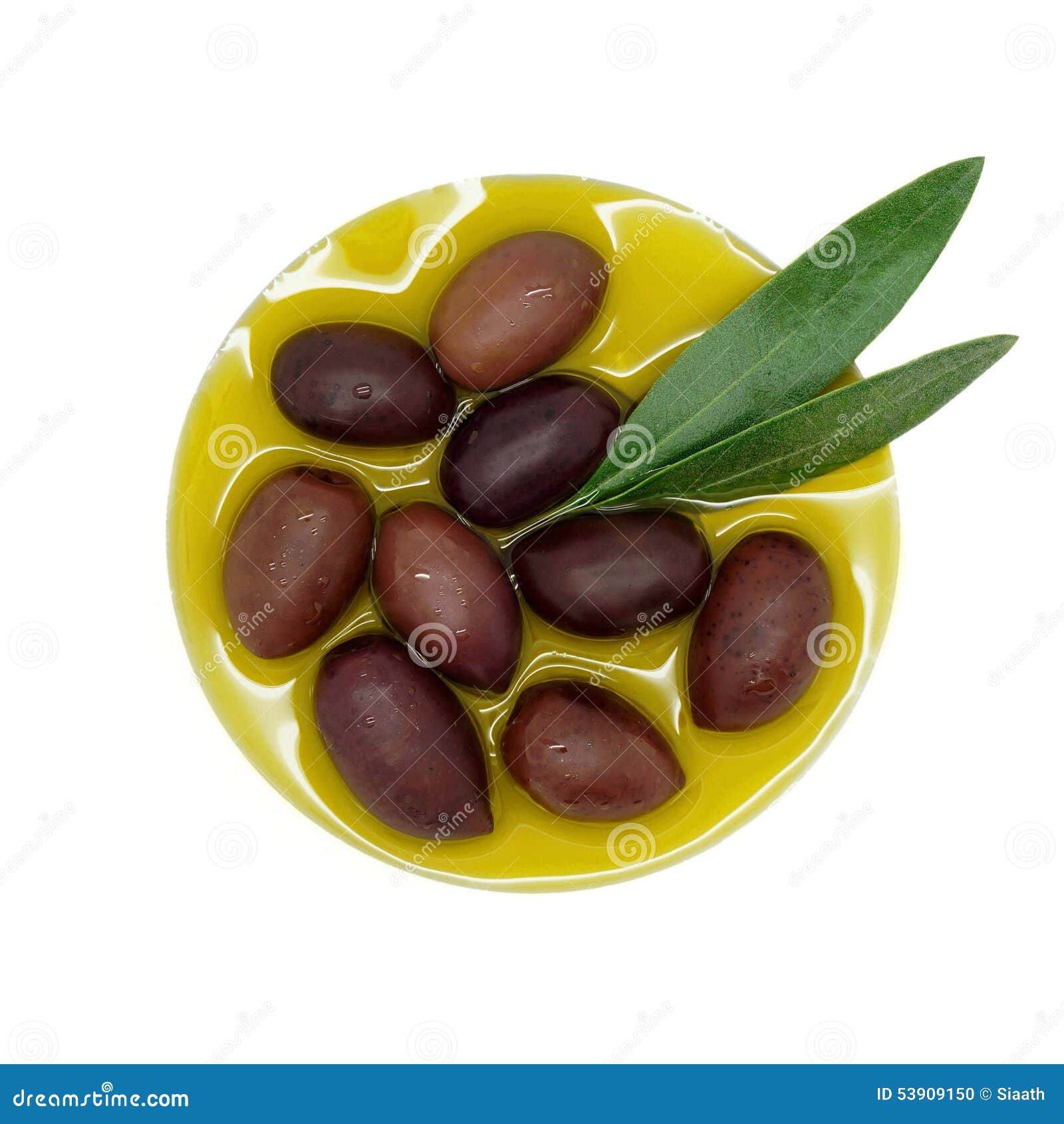 Kalamon Olives in Oil stock photo. Image of leaves, ripe - 53909150