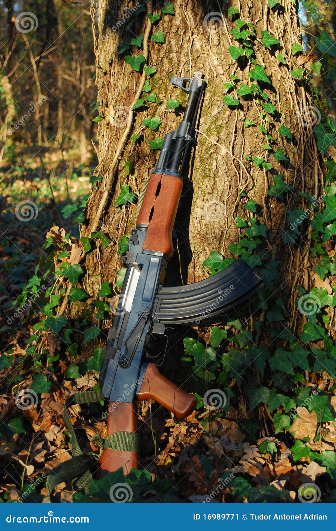 Kalashnikov imagen de archivo. Imagen de arma, firearm - 16989771