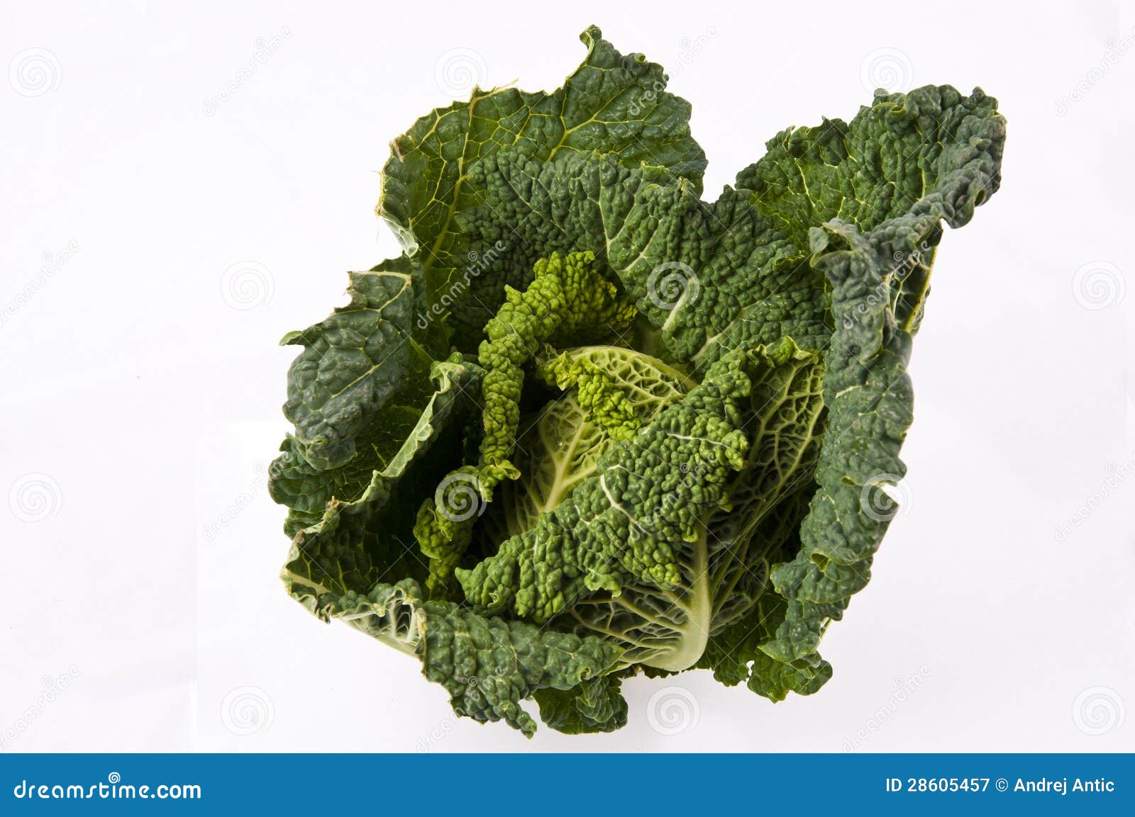 Kale stock image. Image of capsicum, flavoring, healthy - 28605457