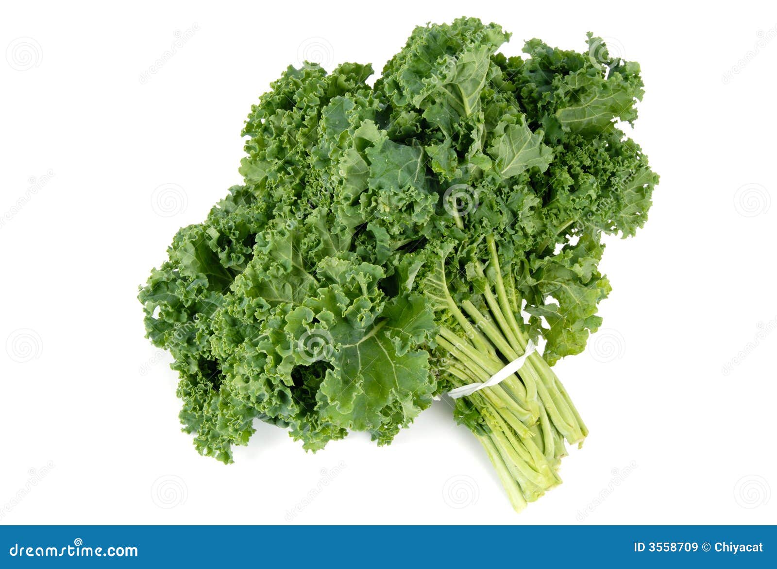 Kale stock image. Image of vitamins, green, beta, isolated - 3558709