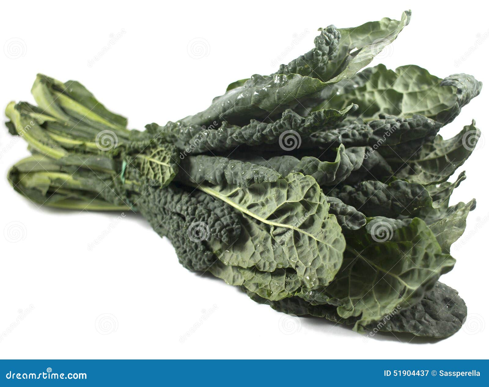 Kale imagen de archivo. Imagen de nutritivo, ensalada - 51904437