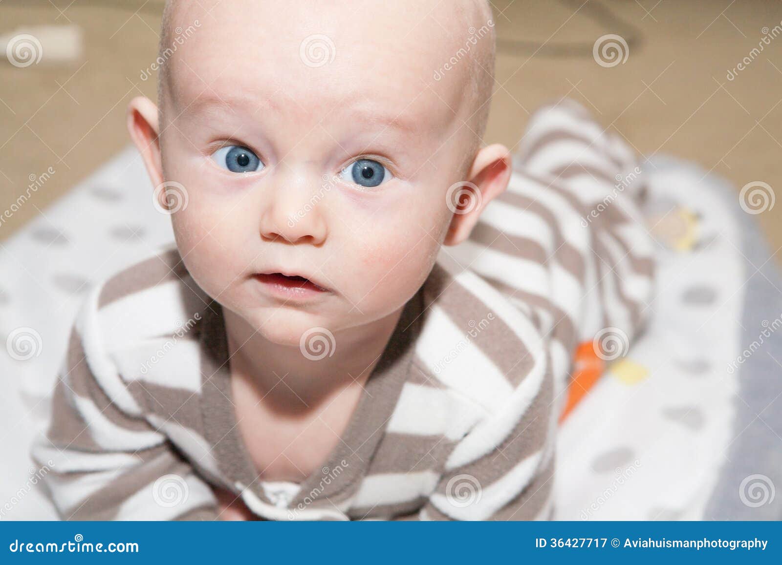 Kale Baby Met Big Blue-Ogen Stock Afbeelding - Image of nieuwsgierig ...