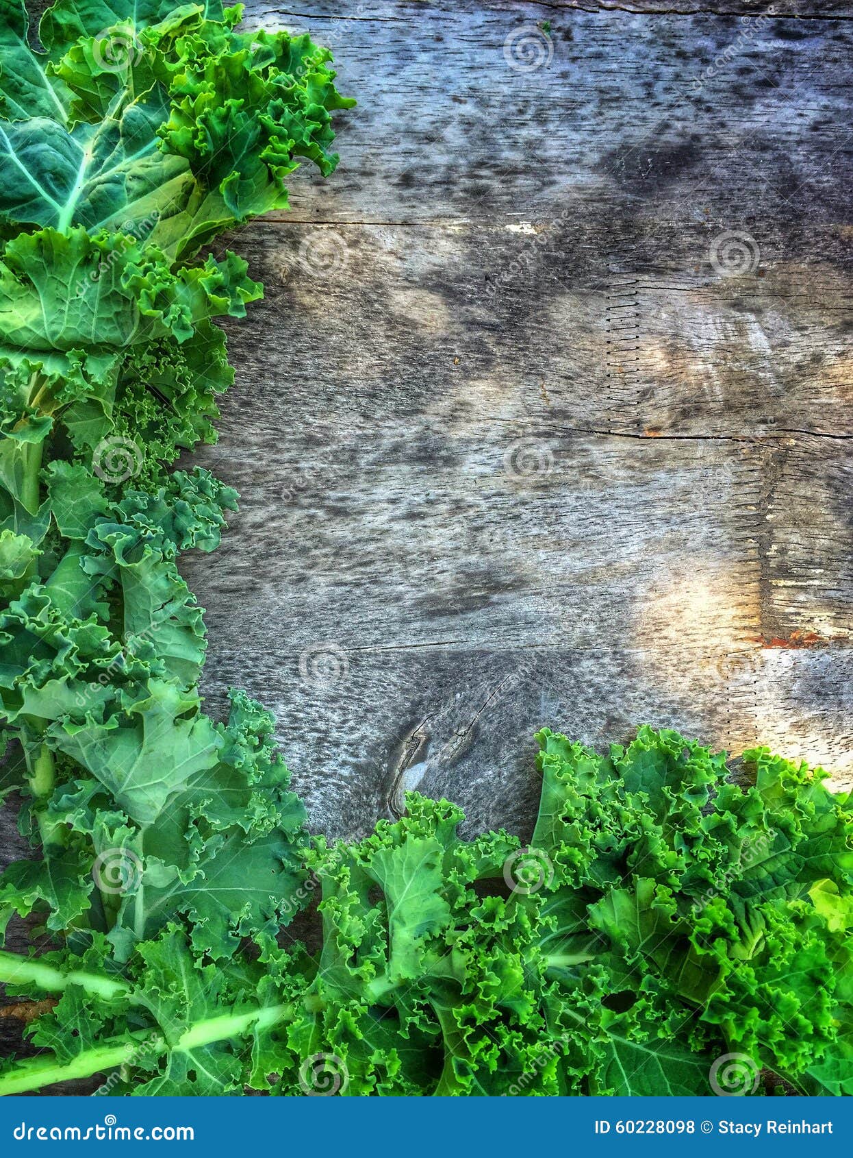 Kale Border on Rustic Farm Table Stock Photo - Image of vitanim, kale ...