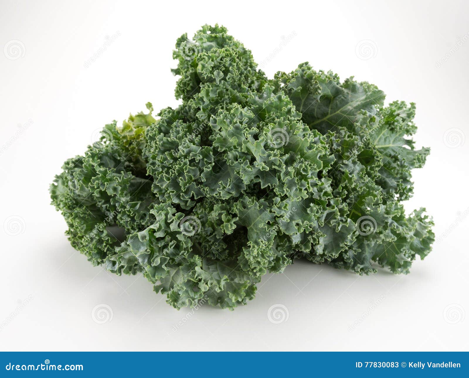 Kale stock image. Image of detail, nutrition, cooking - 77830083