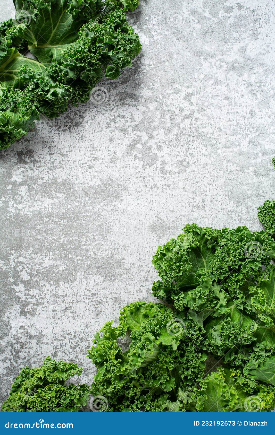 Kale Cabbage on Grey Stone Surface Stock Image - Image of curled, food ...