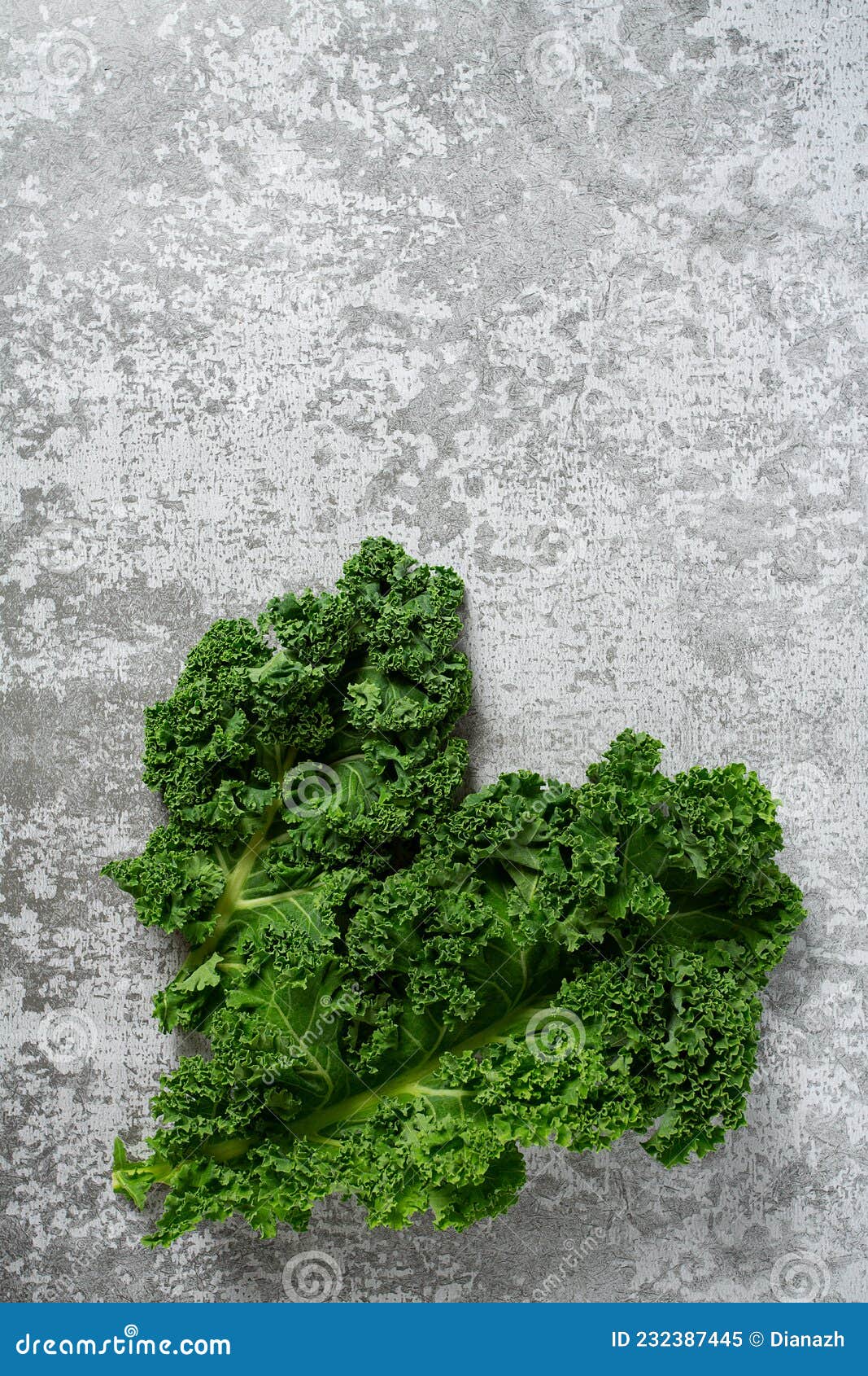 Kale Cabbage on Grey Stone Surface Stock Image - Image of kale ...
