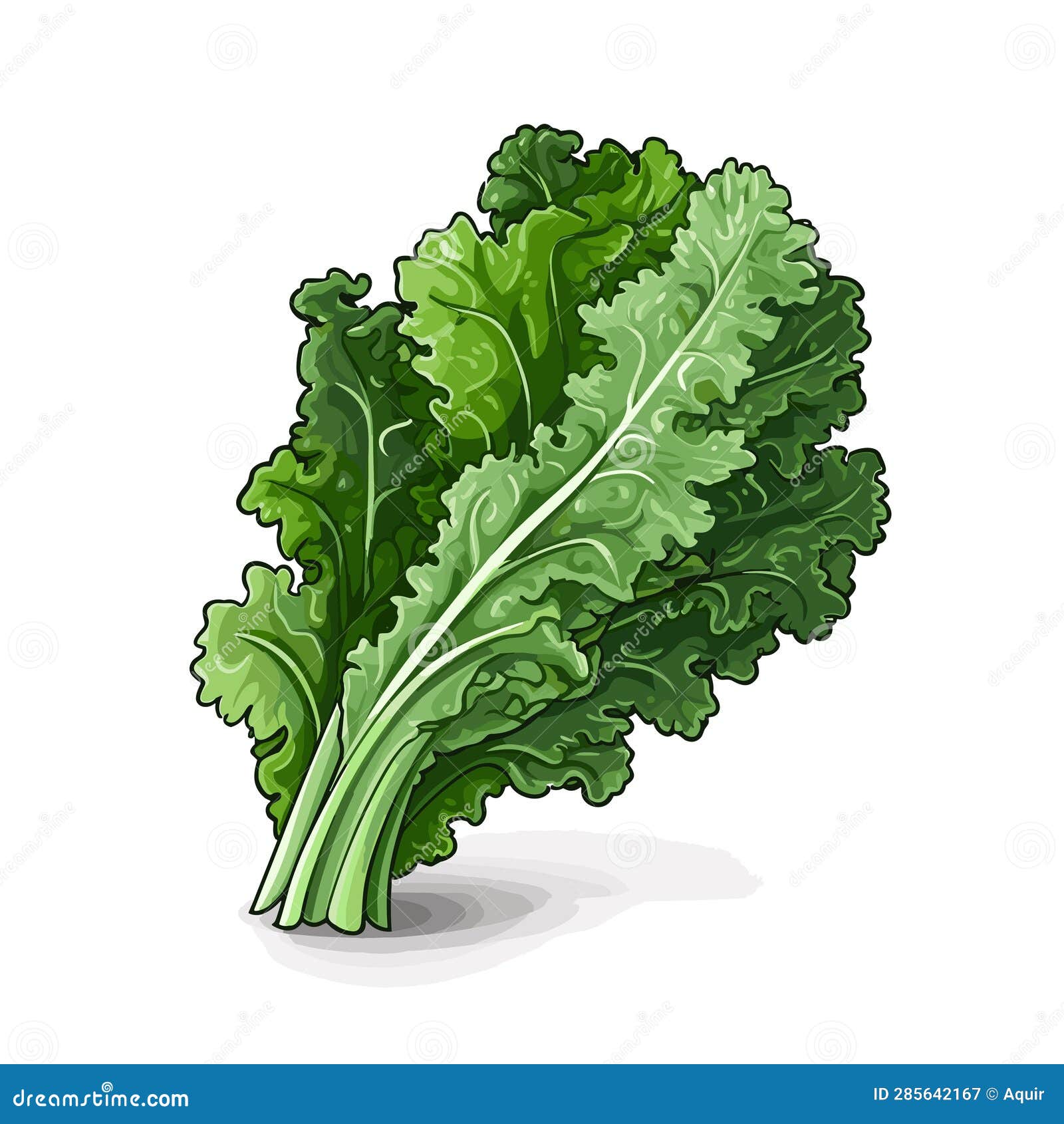 Kale Hand-drawn Illustration. Kale. Vector Doodle Style Cartoon ...