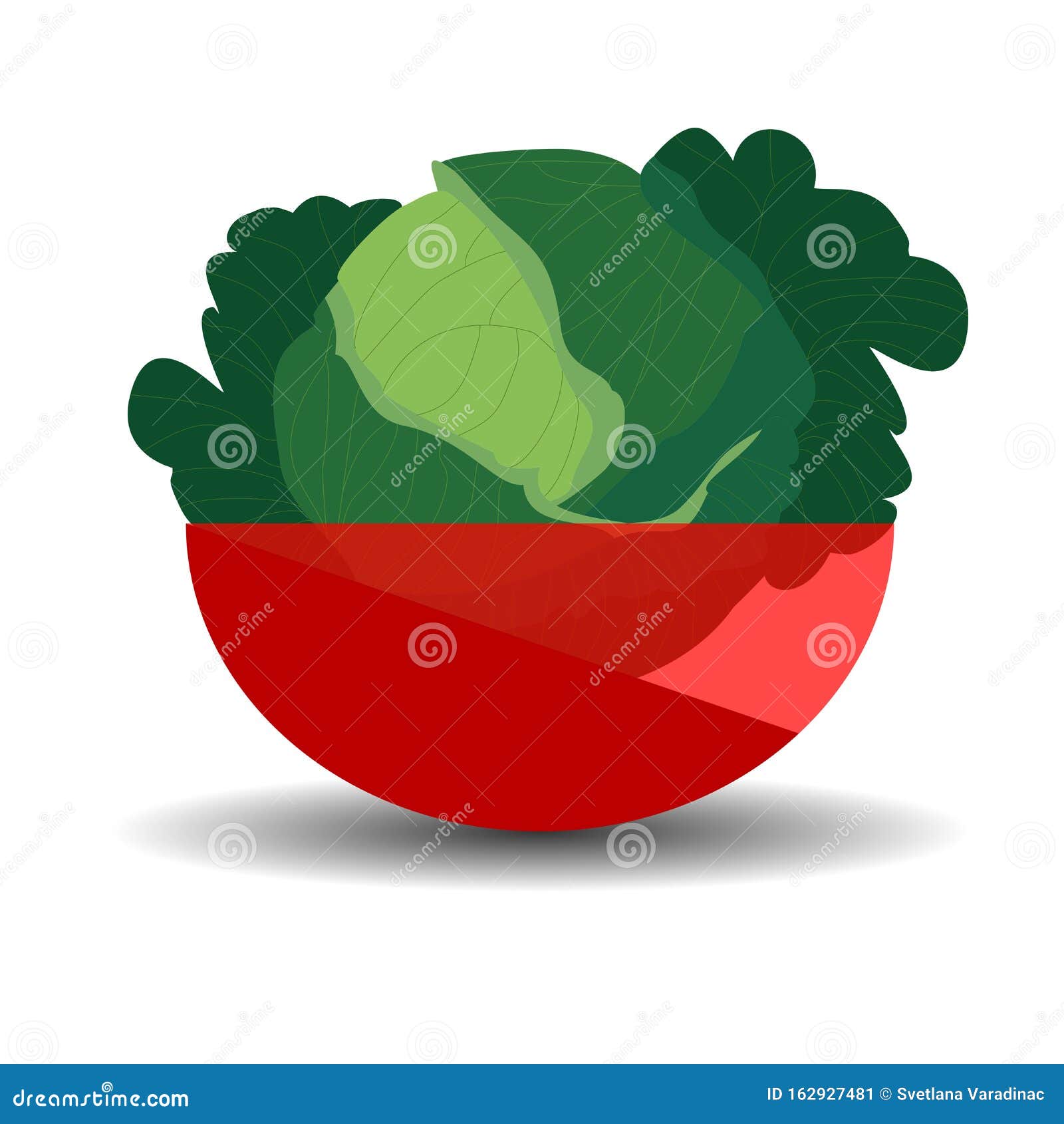 Kale Heads in a Red Transparent Bowl. Stock Vector - Illustration of ...