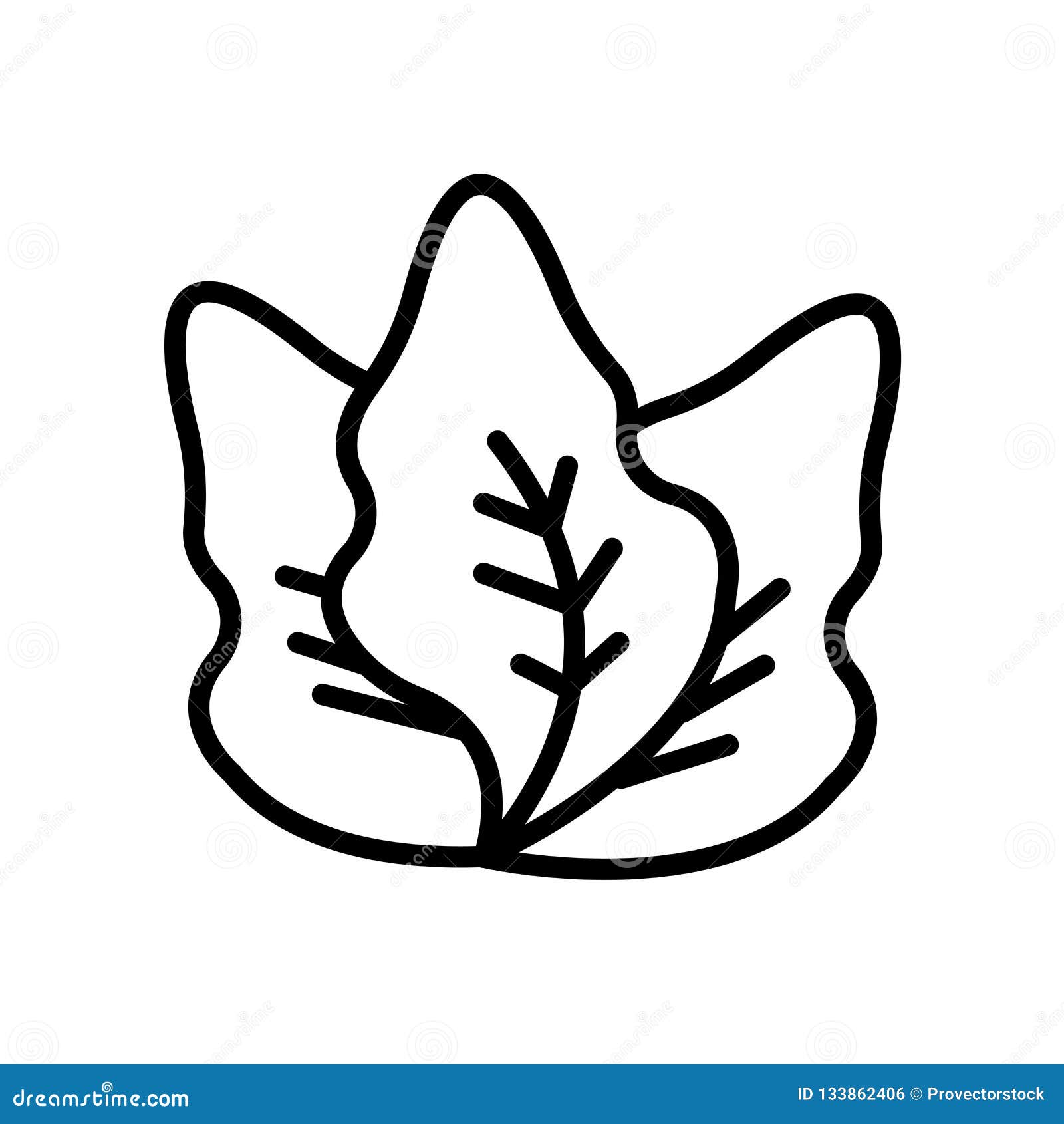 Kale Icon Isolated on White Background Stock Vector - Illustration of ...