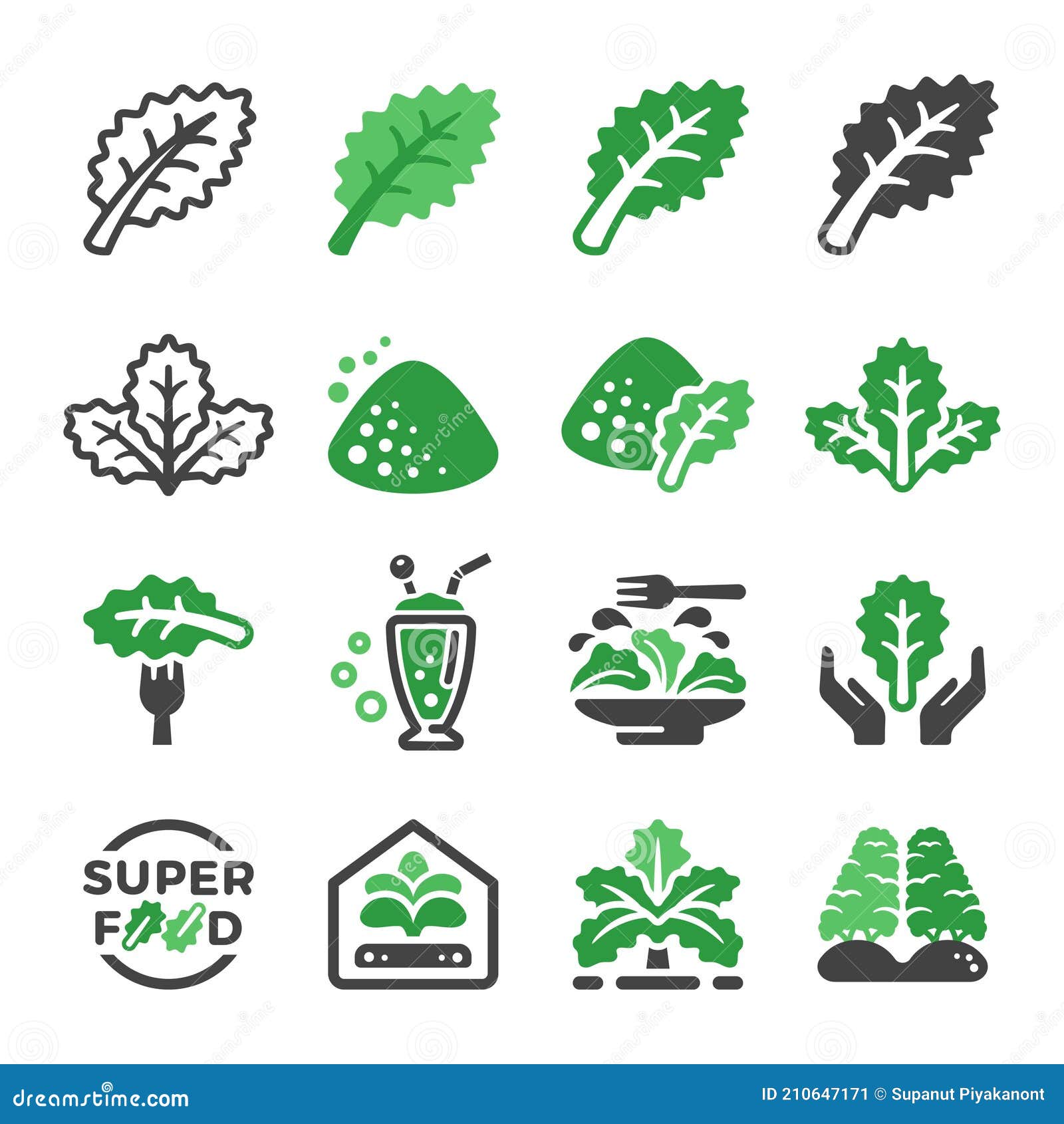 Kale icon set stock vector. Illustration of healthy - 210647171