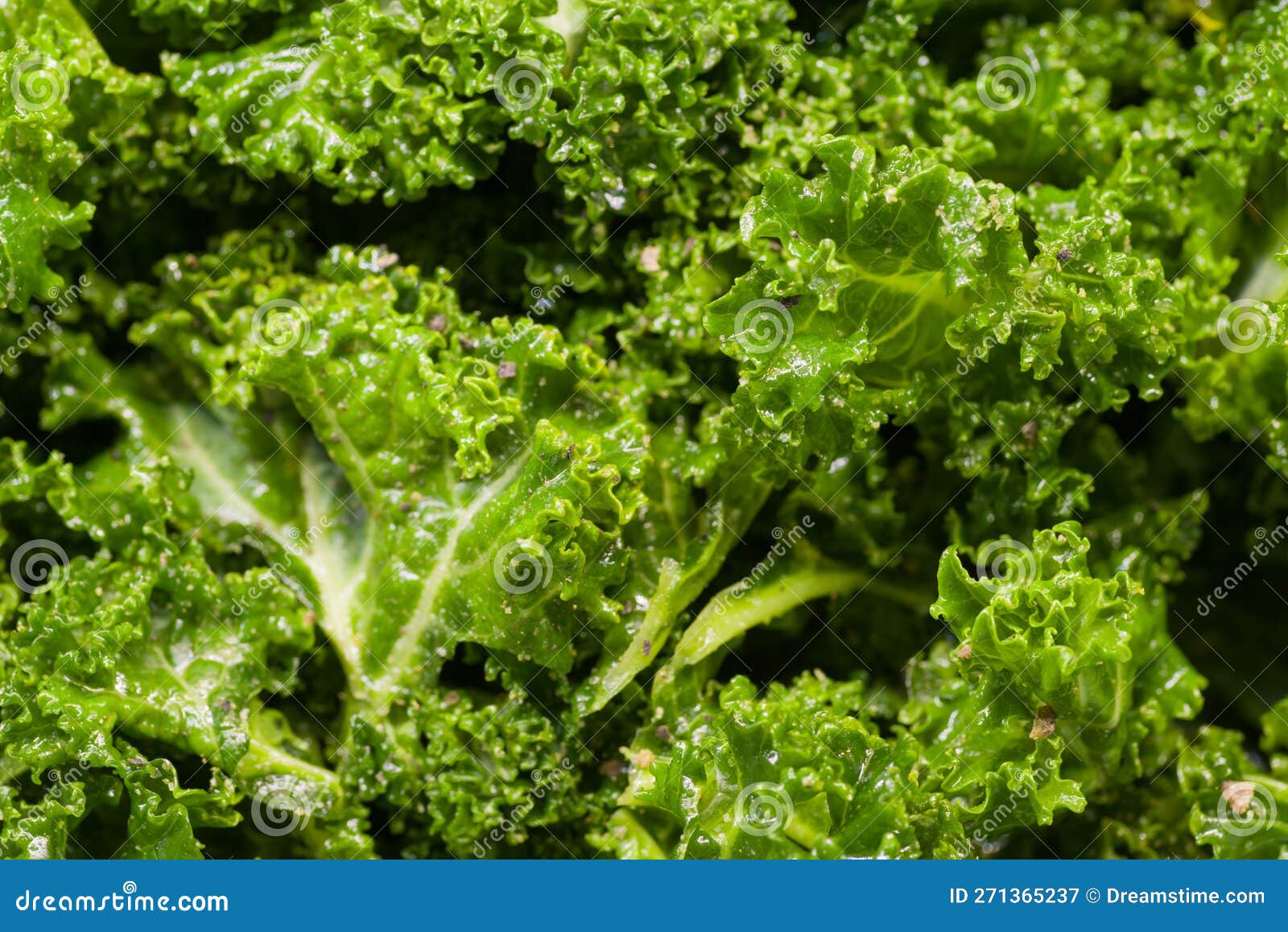 Kale Leaves Being Prepared for Making Kale Chips Stock Image - Image of ...