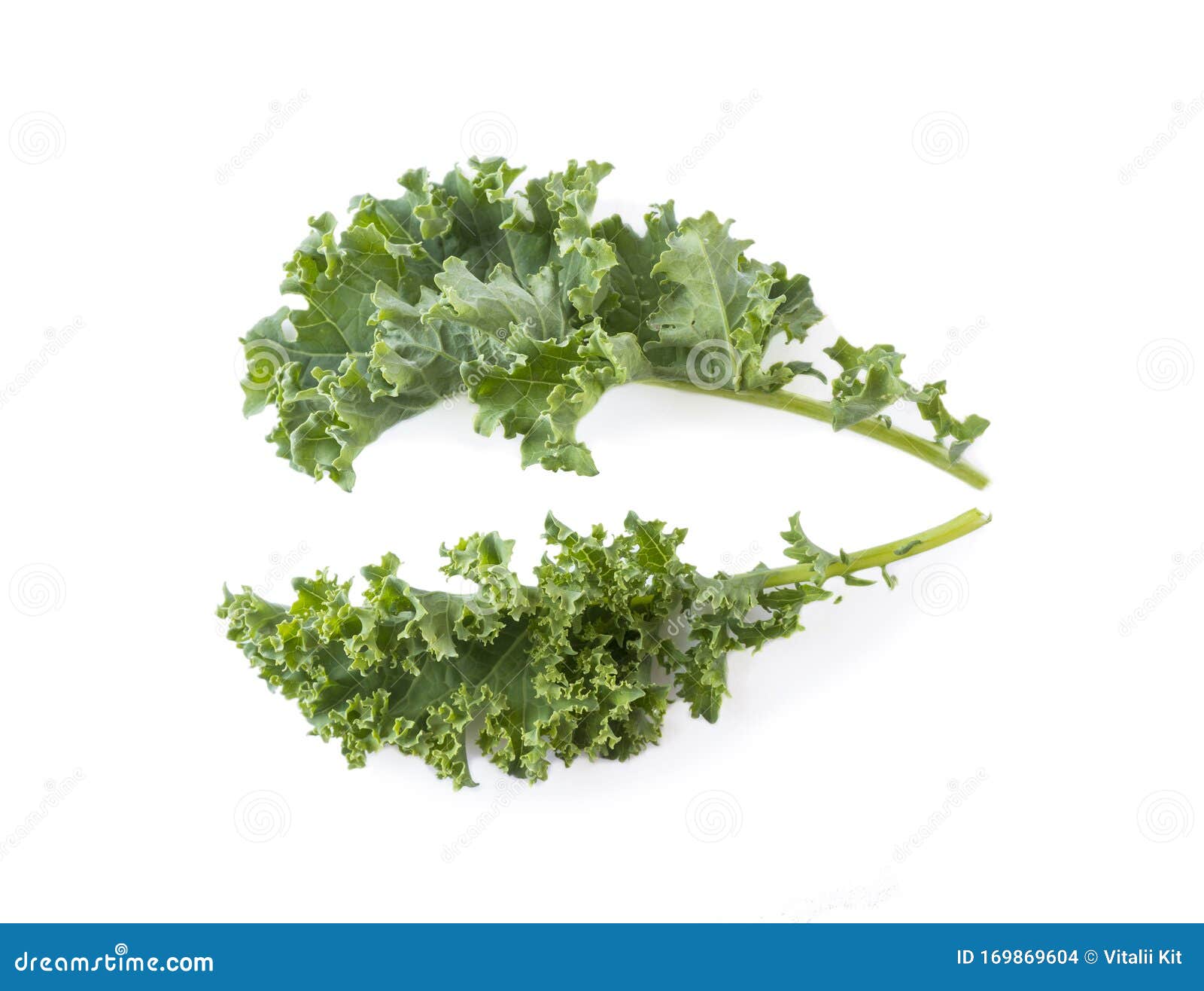 Kale Leaves Isolated on White Background. Top View. Kale Leaves with ...