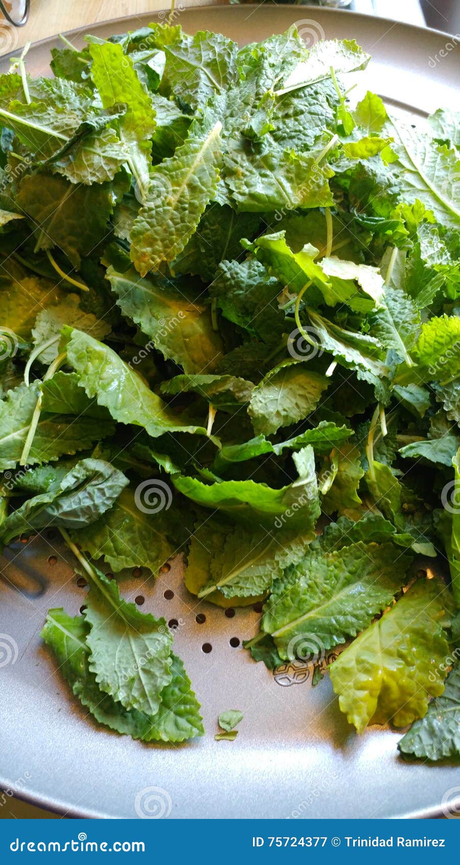 Kale prepped for drying stock image. Image of prepped - 75724377