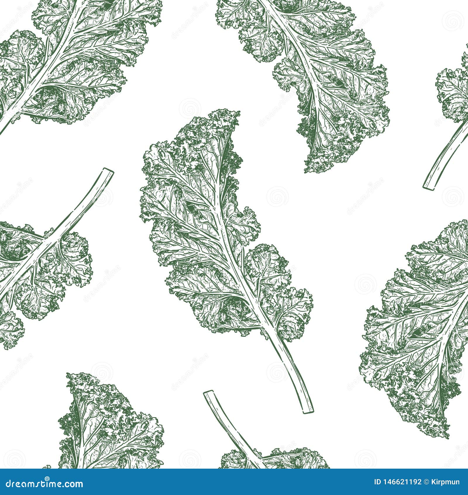 Kale Seamless Pattern Vector Stock Vector - Illustration of food, fober ...
