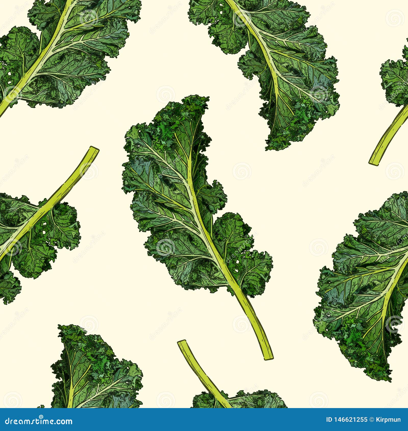 Kale Seamless Pattern Vector Stock Vector - Illustration of detox ...